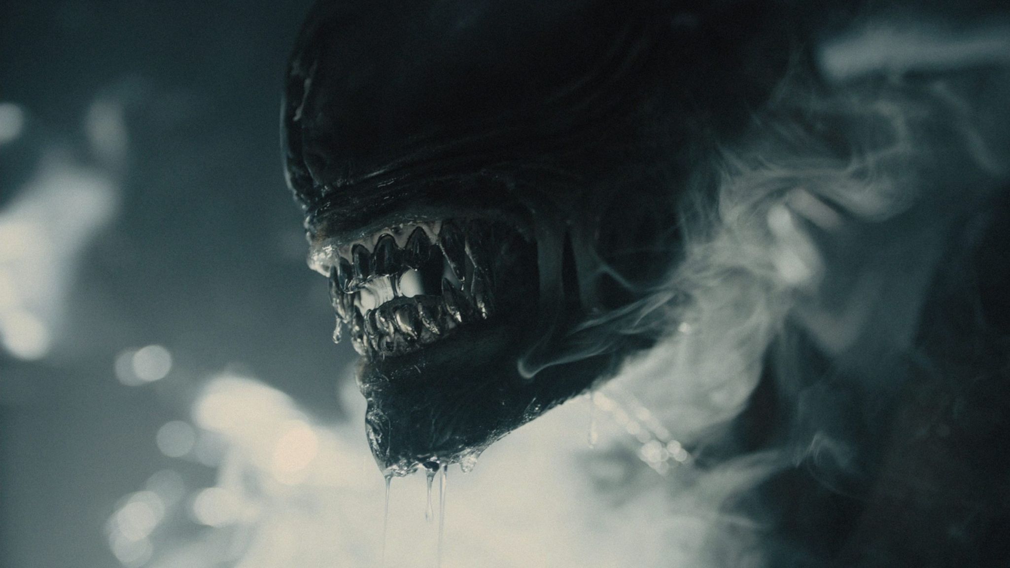 The Most Exciting Thing About Alien: Earth Is Not the Xenomorph ...