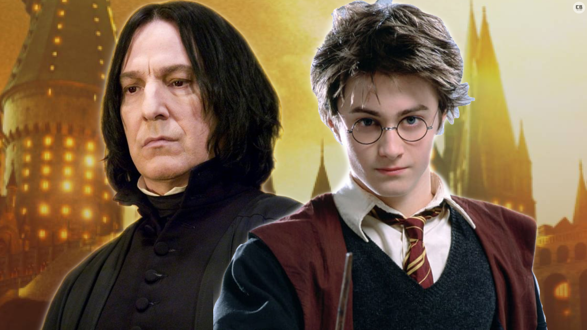 Harry Potter Fans Protest Controversial TV Show Castings: "This Is So ...