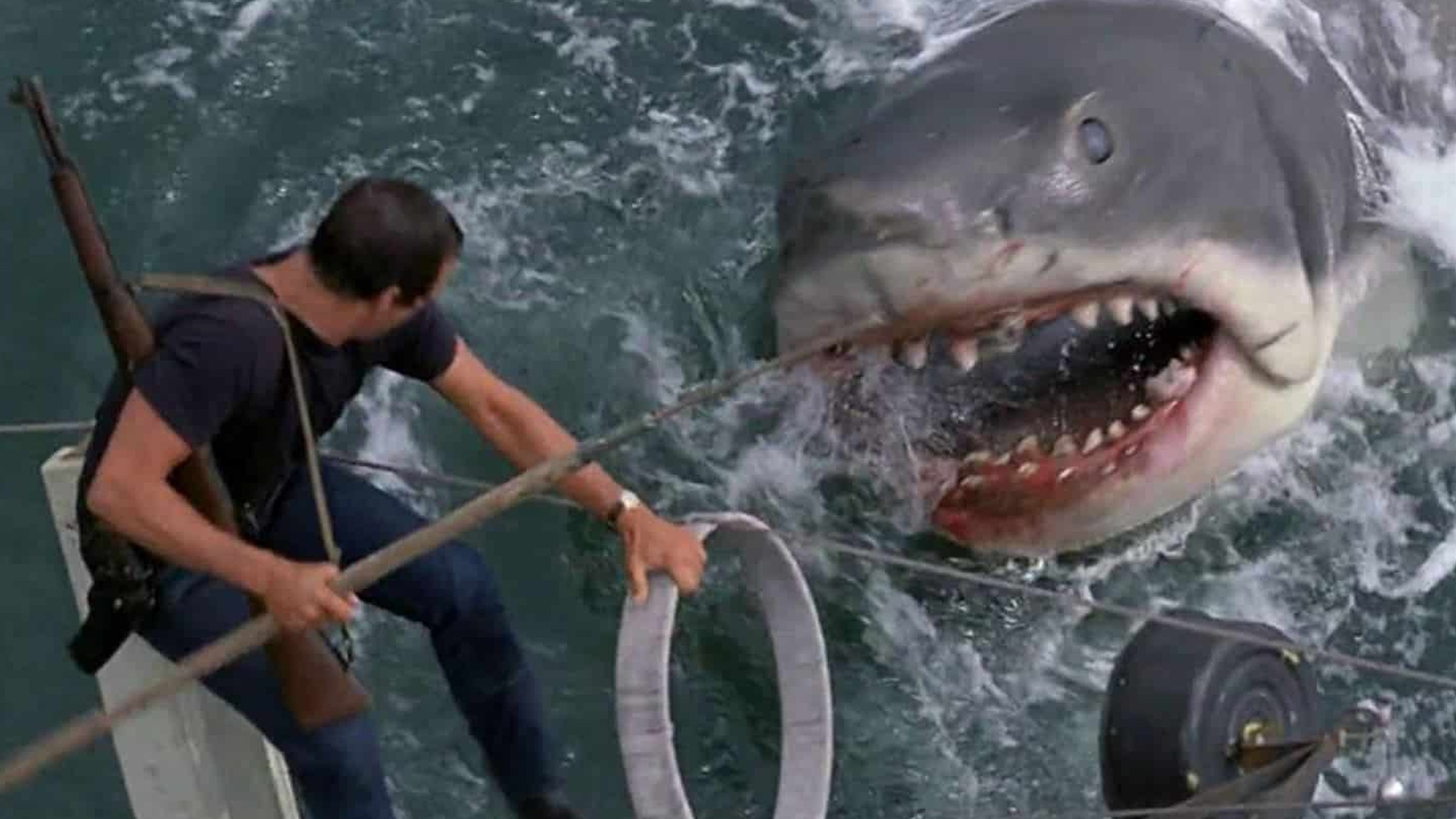 Jaws Celebrates 50th Anniversary With Theatrical Re-Release, New Merch ...