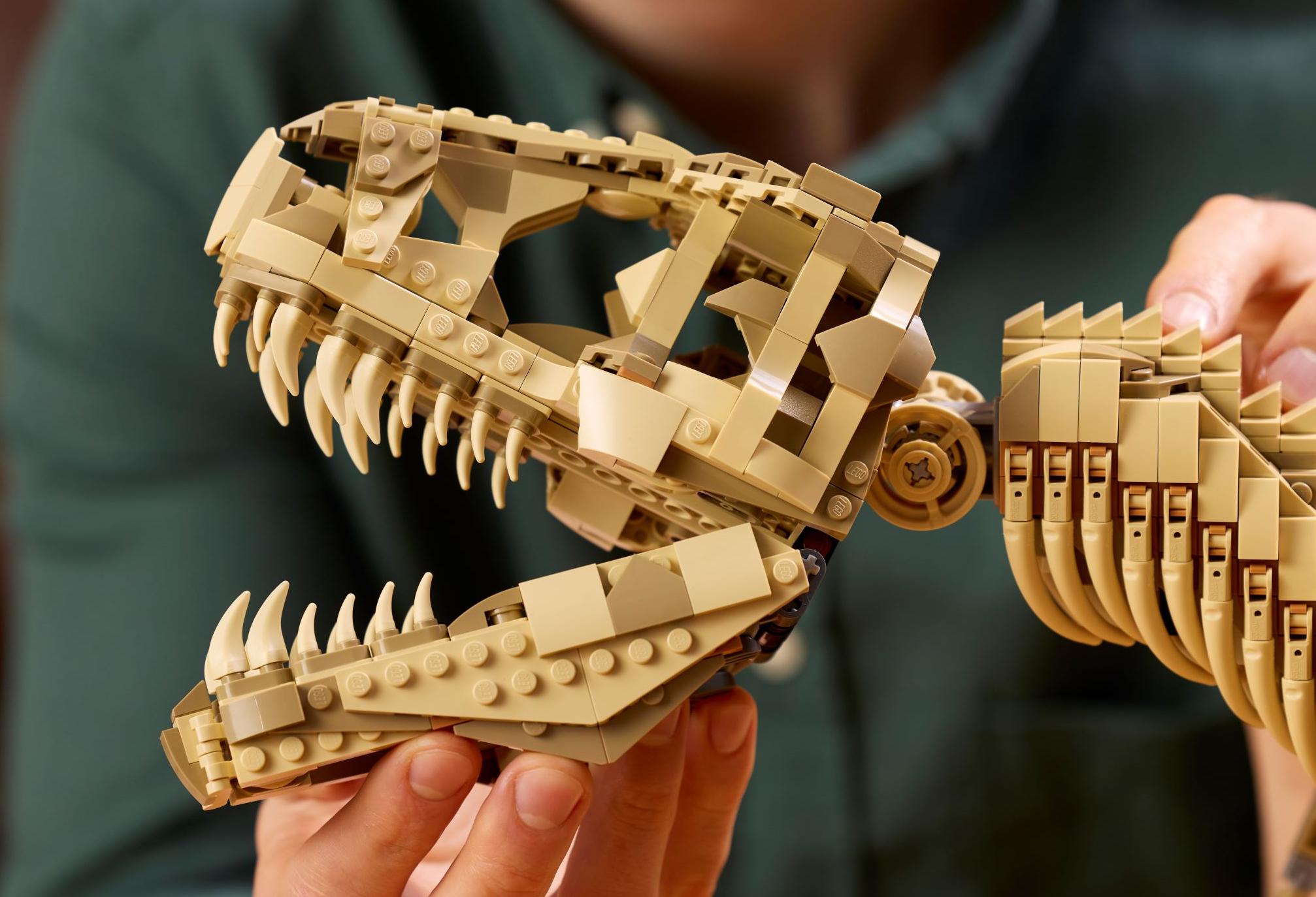 Jurassic World Dinosaur Fossils Tyrannosaurus Rex Review: A Set Worth ...