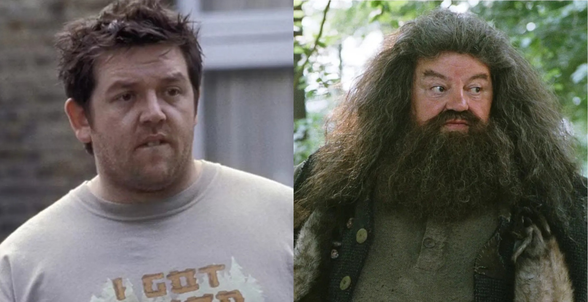 Nick Frost Breaks Silence on Harry Potter TV Show Casting Reports ...