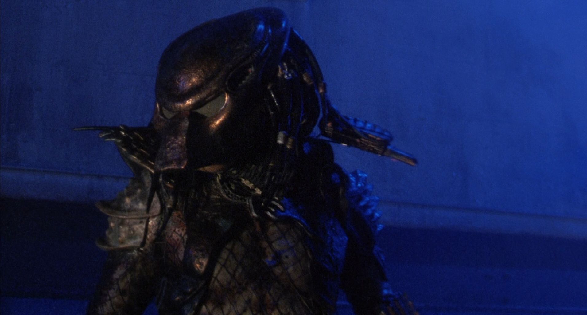 The Lowest Rated Predator Movie on Rotten Tomatoes Is Actually an ...