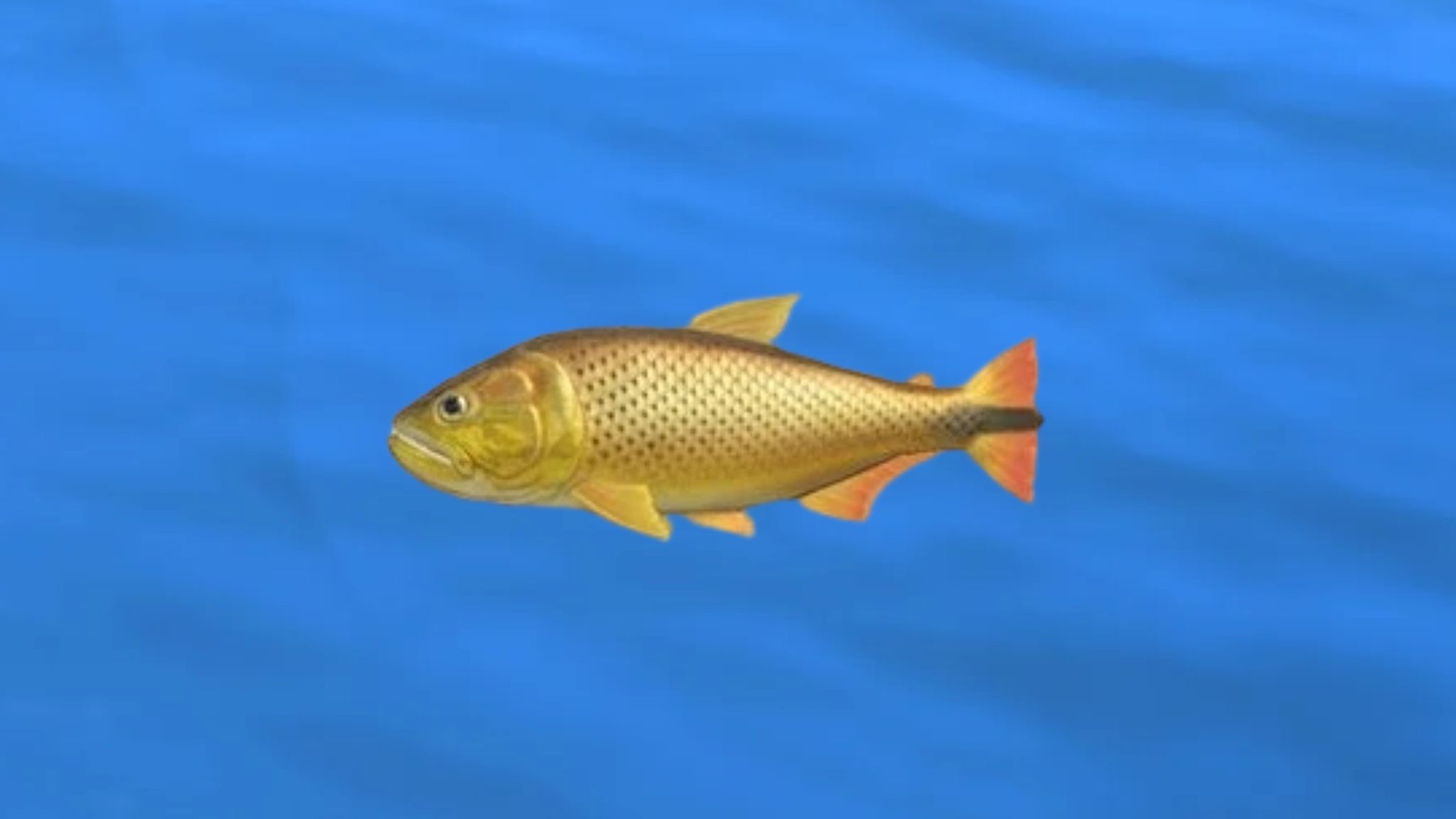 10 Rarest Fish in Animal Crossing: New Horizons and How to Catch Them
