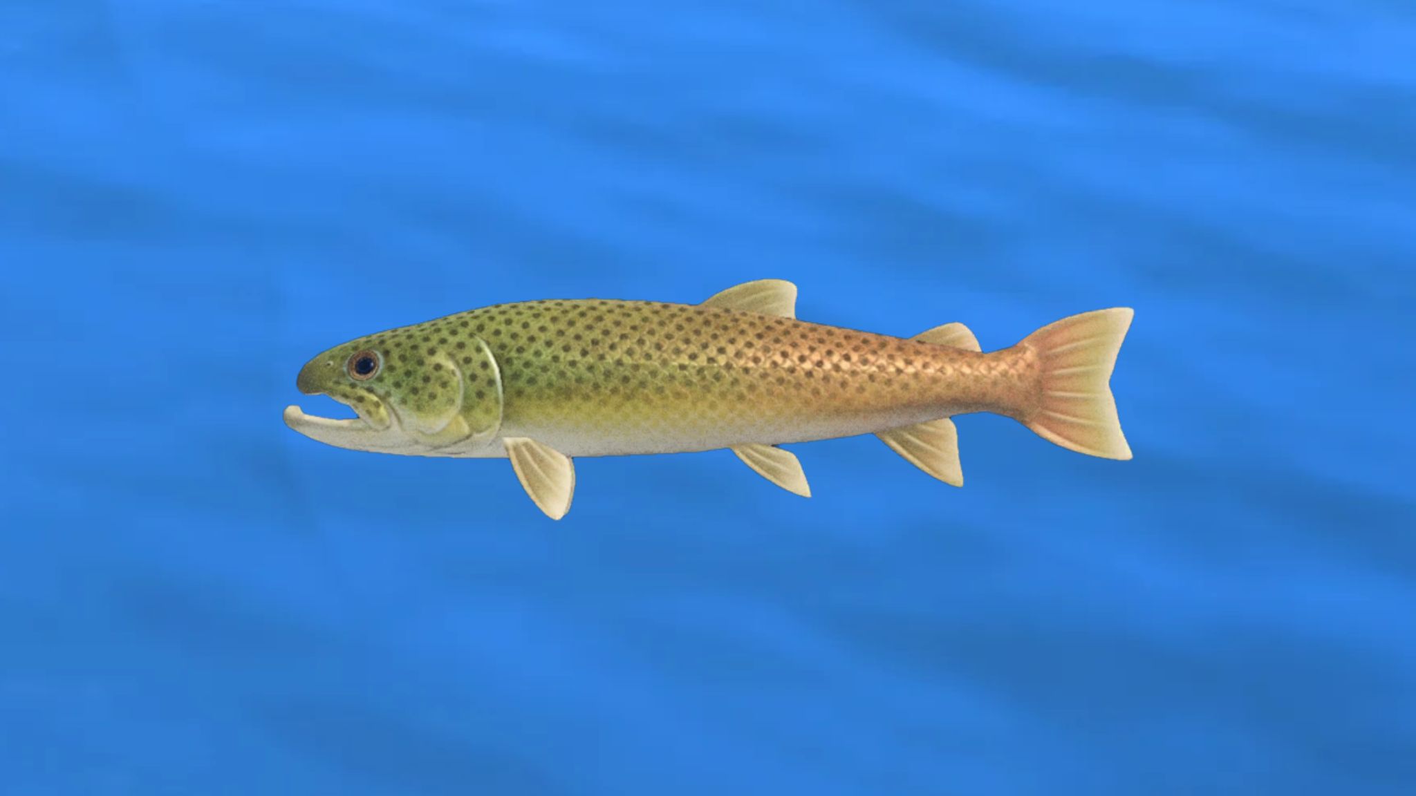 10 Rarest Fish in Animal Crossing: New Horizons and How to Catch Them