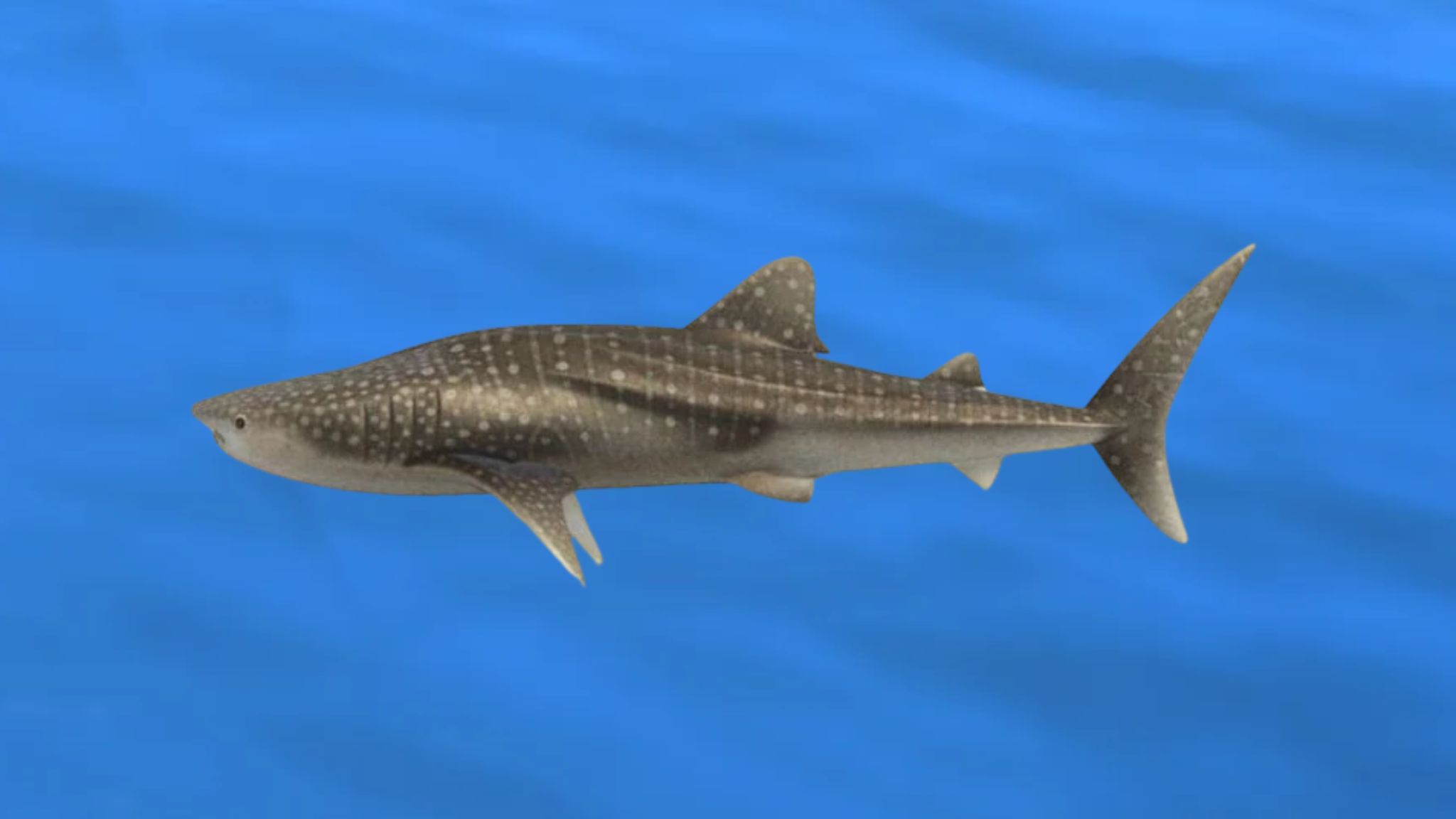 10 Rarest Fish in Animal Crossing: New Horizons and How to Catch Them