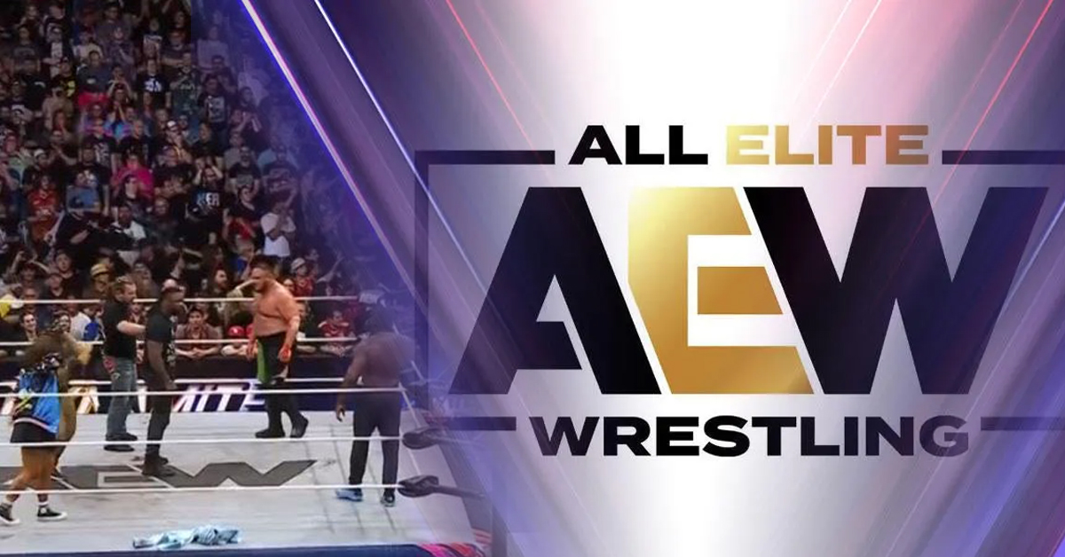 AEW Reveals Epic Intergender Anarchy in the Arena Match - ComicBook.com