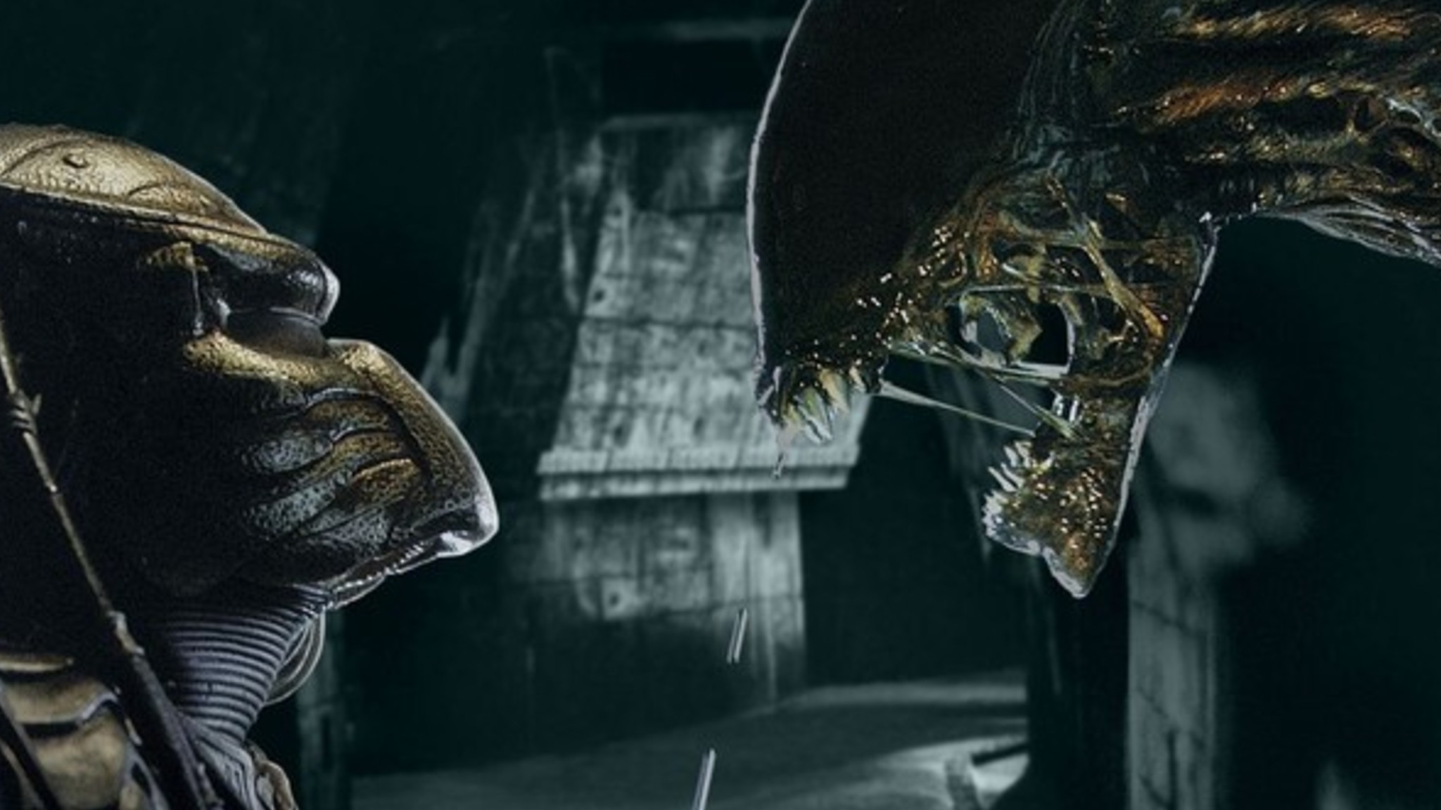 It Feels Like We're Headed for the Aliens vs. Predator Crossover Event ...