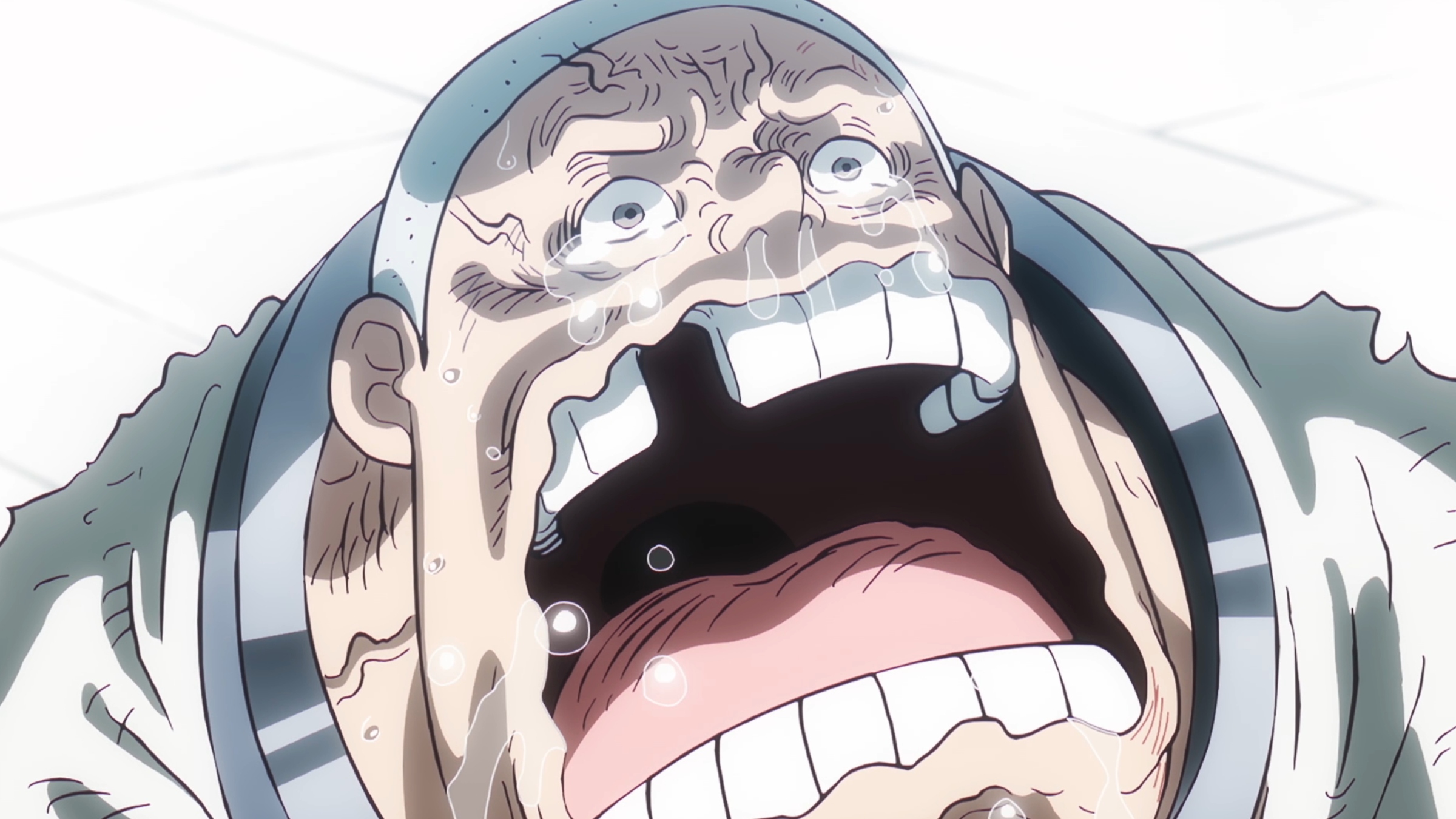One Piece Kicks Off the Anime's Saddest Flashback in Newest Episode