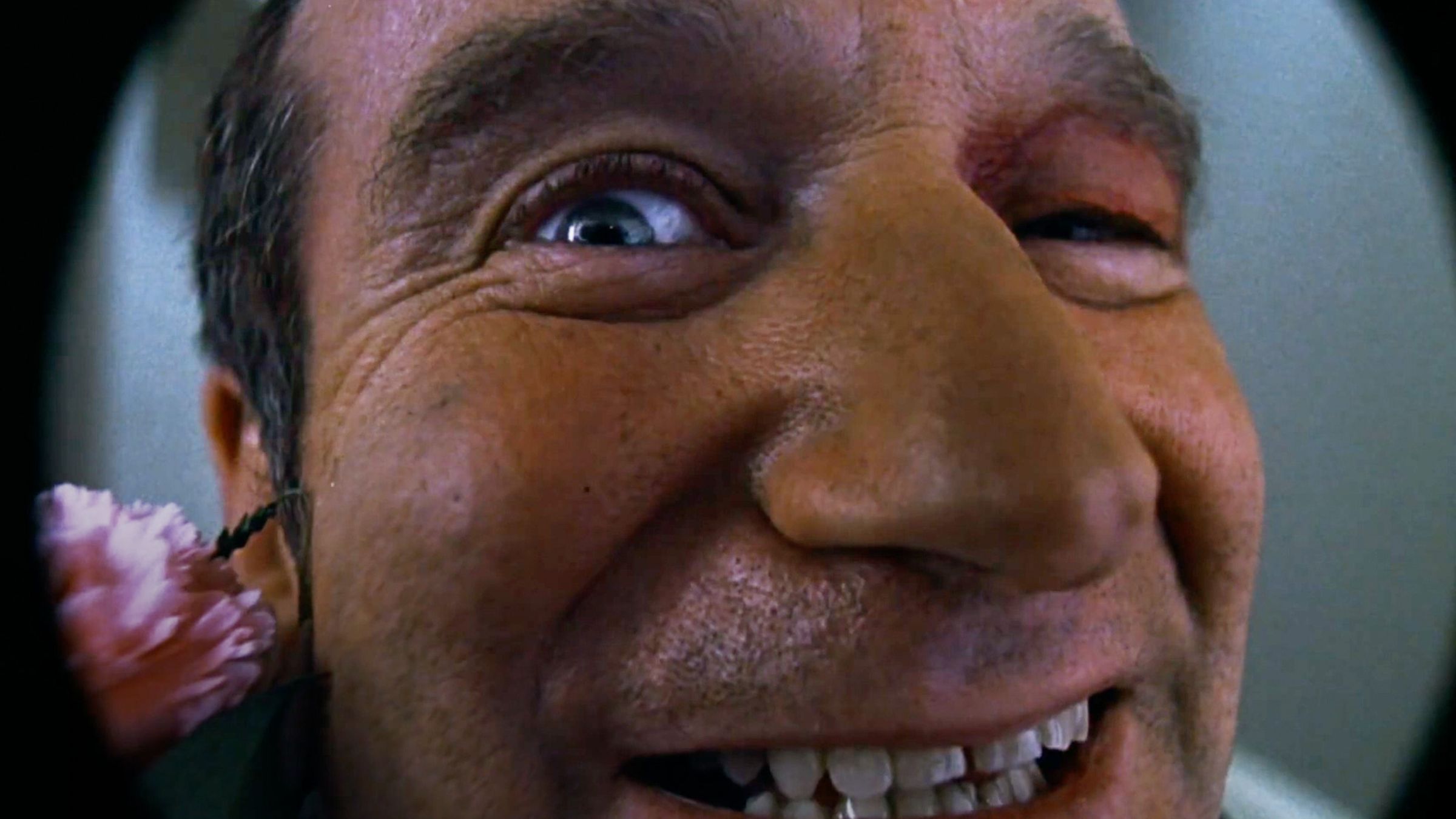 This Ed Norton and Robin Williams Box Office Flop Is Now an Underrated ...