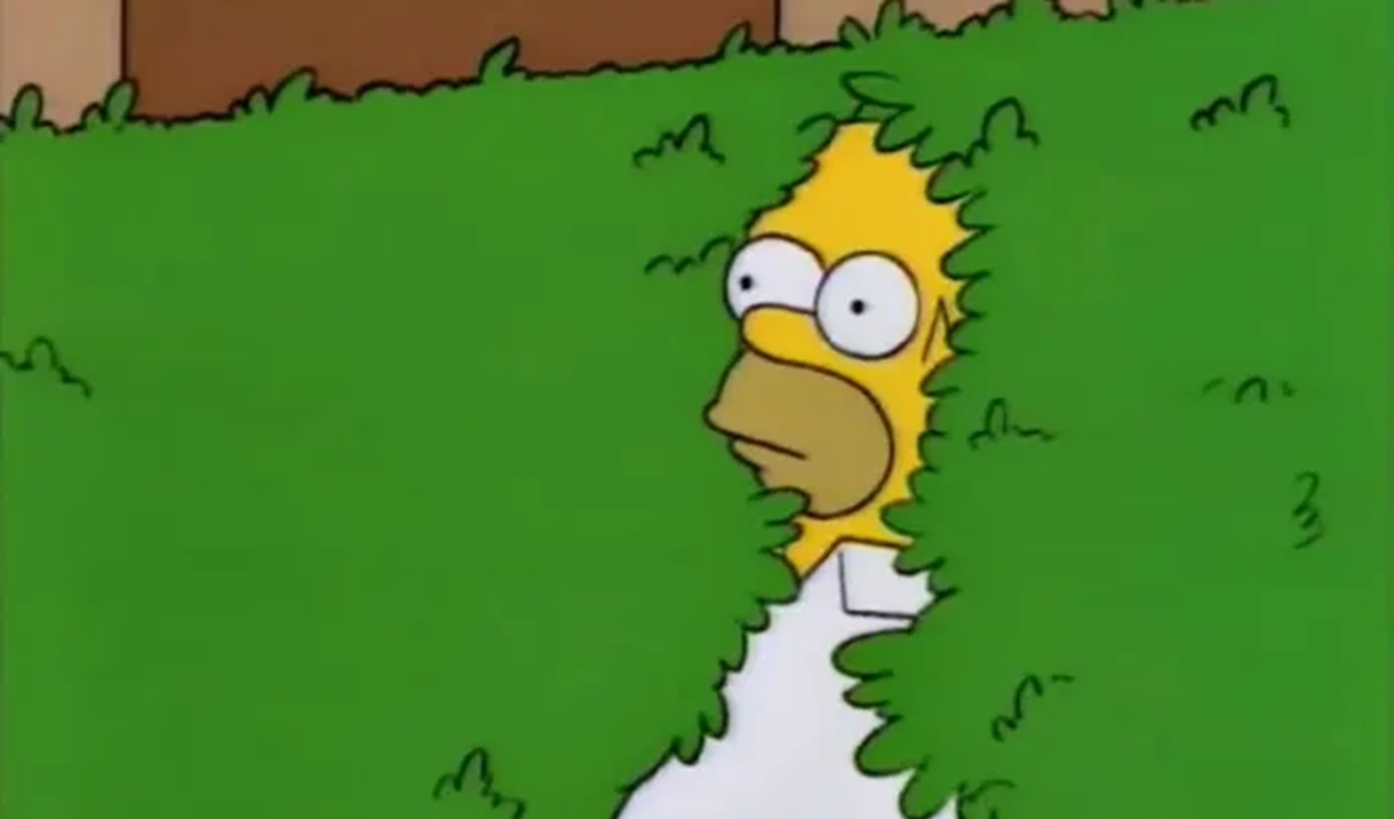 The Simpsons Fans Bring Homer's Best Meme To The Real World - ComicBook.com