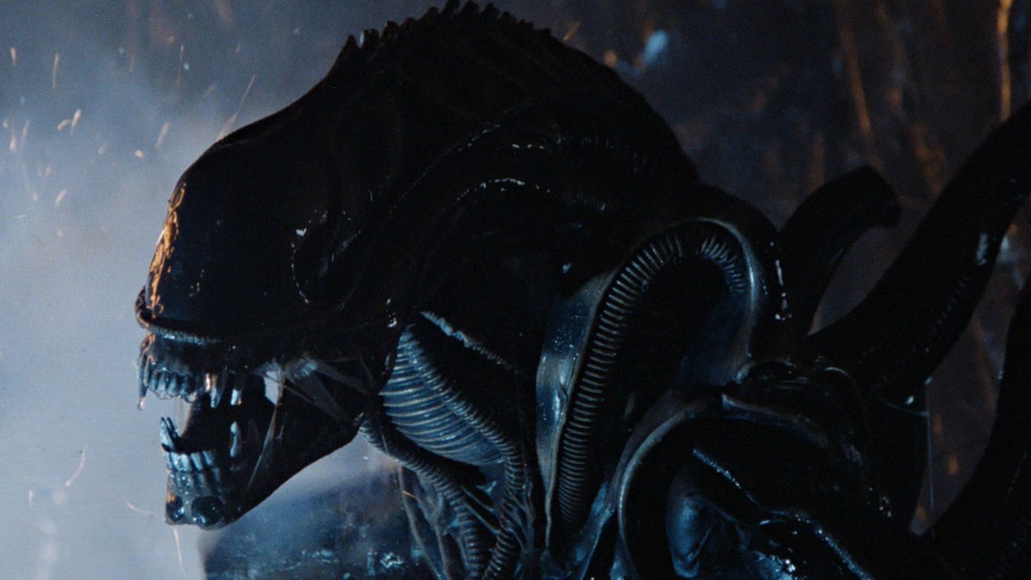 7 Crucial Scenes in the Aliens Director’s Cut That Should Never Have ...