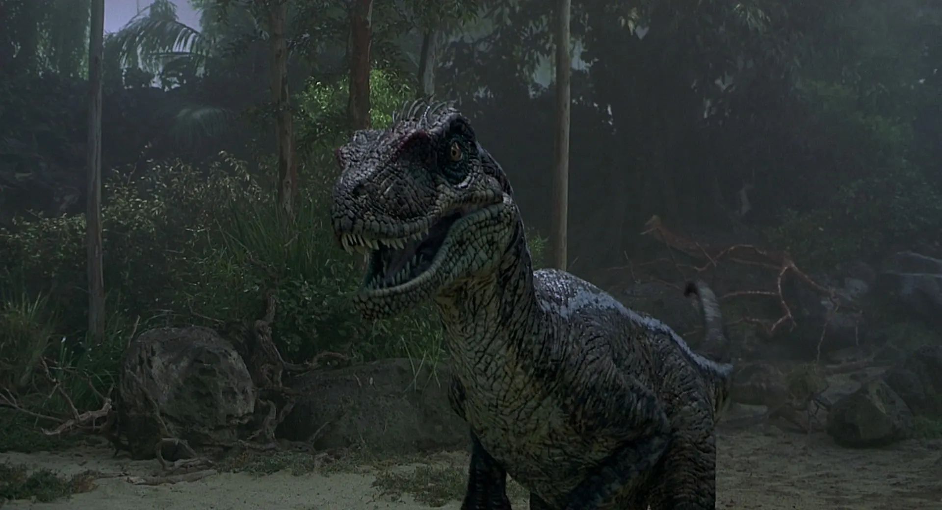 Every Jurassic Park Movie Velociraptor Design Ranked - ComicBook.com