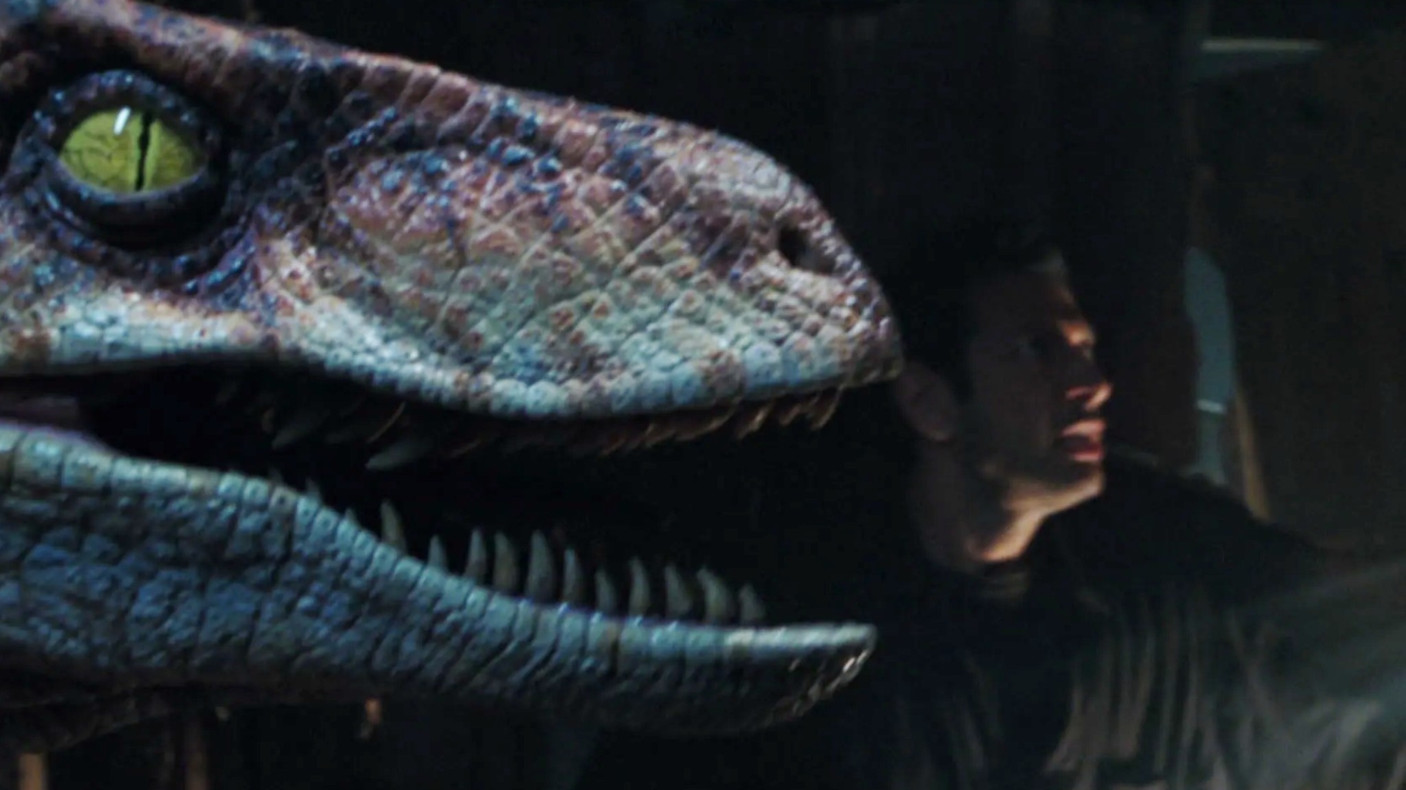 Every Jurassic Park Movie Velociraptor Design Ranked - ComicBook.com