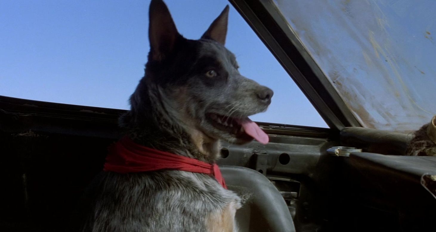 One of the Best Parts of The Road Warrior Sadly Never Returned