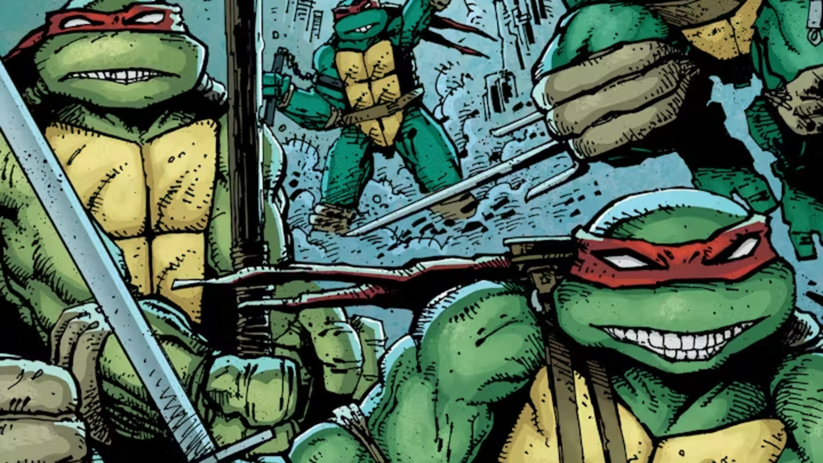 Get 32 Teenage Mutant Ninja Turtles Graphic Novels for 47 Cents Each ...