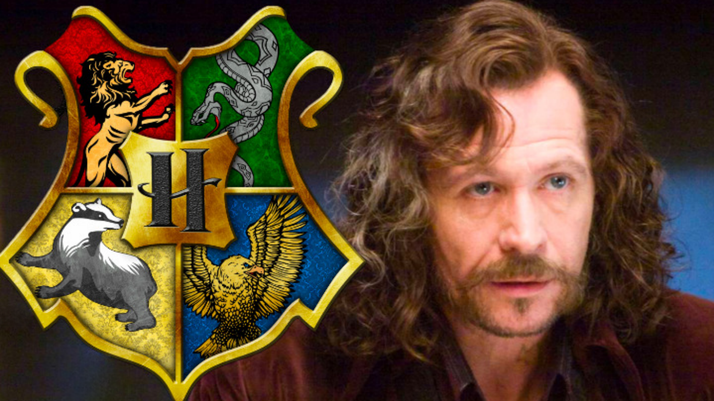 Watch Harry Potter Star Gary Oldman Be Sorted Into a Hogwarts House for ...