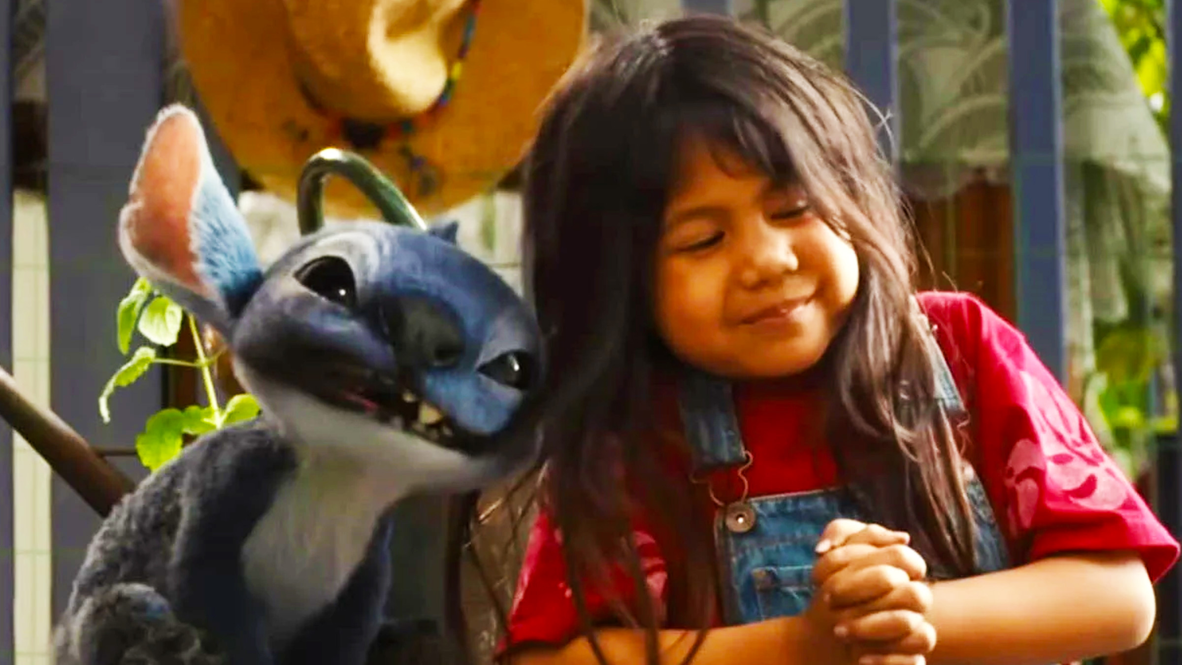 Lilo & Stitch's "Ohana" Explained: Hawaiian Culture's Unique Take on ...