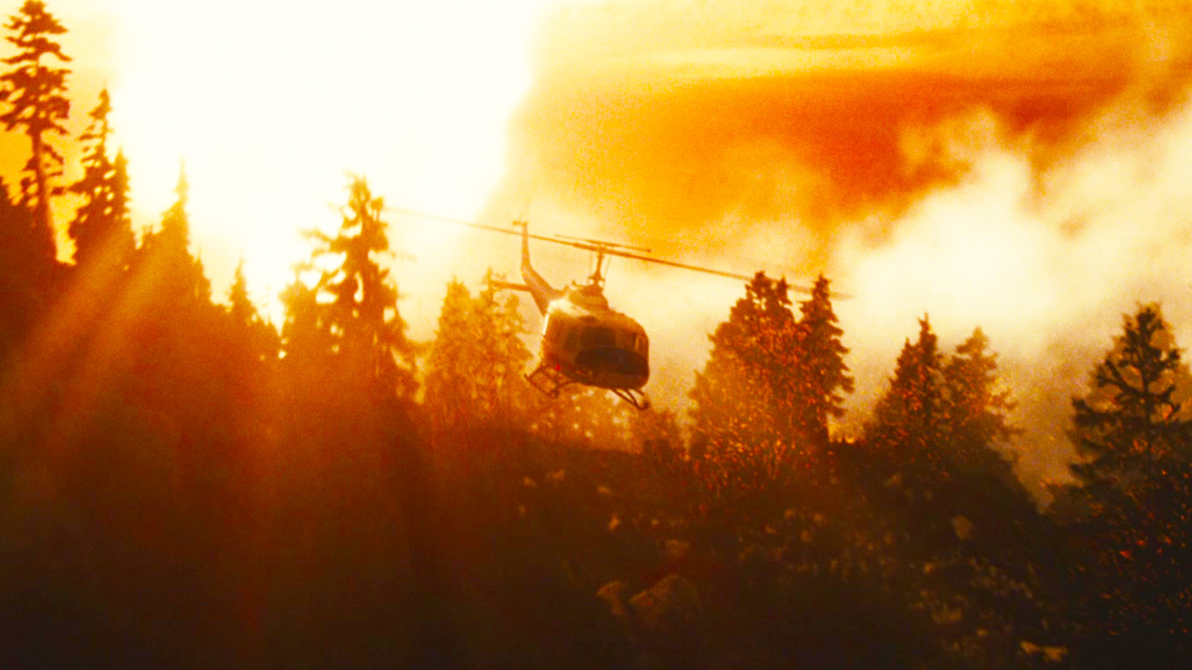 Every Human Who Killed A Predator In 8 Movies - ComicBook.com