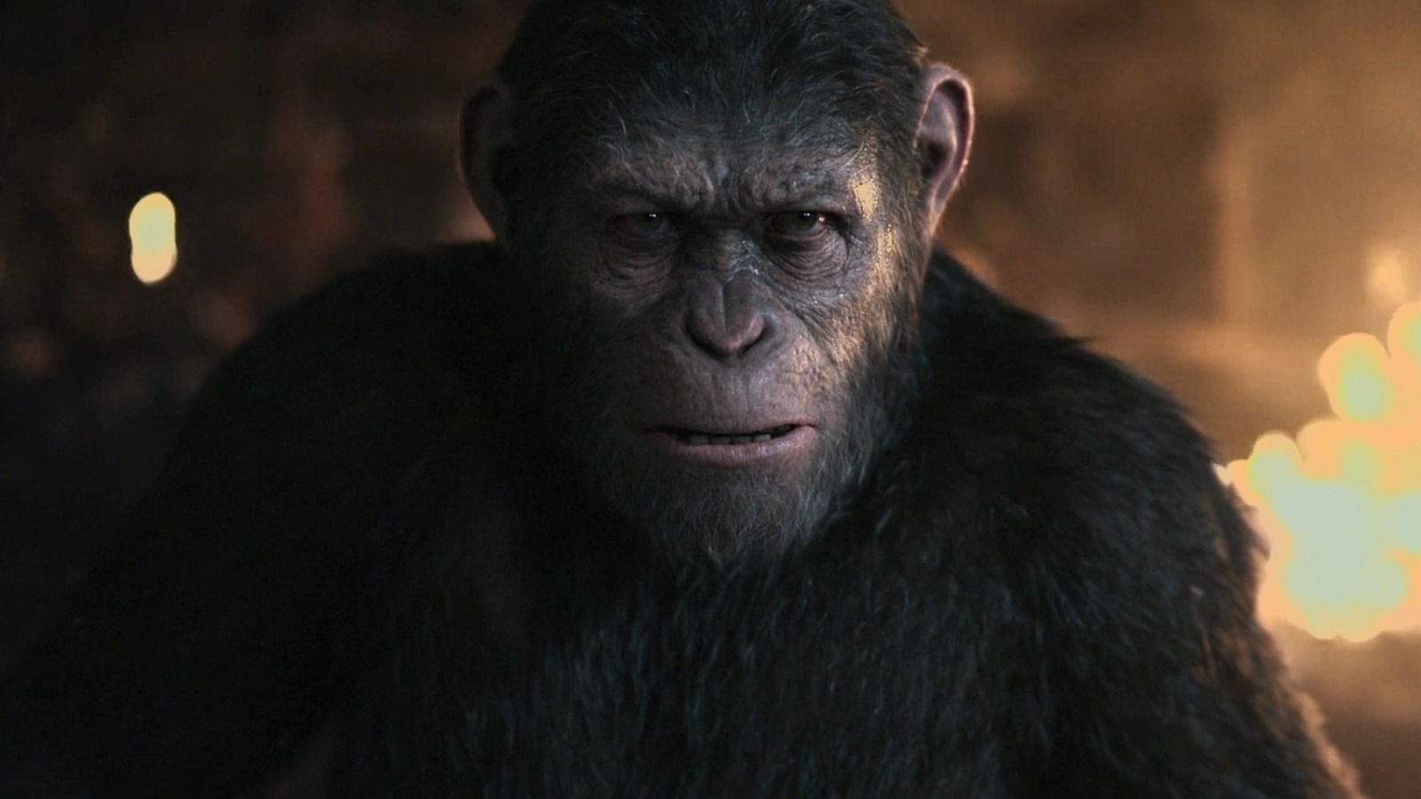 10 Best Planet of the Apes Characters (And Three Are Human) - ComicBook.com