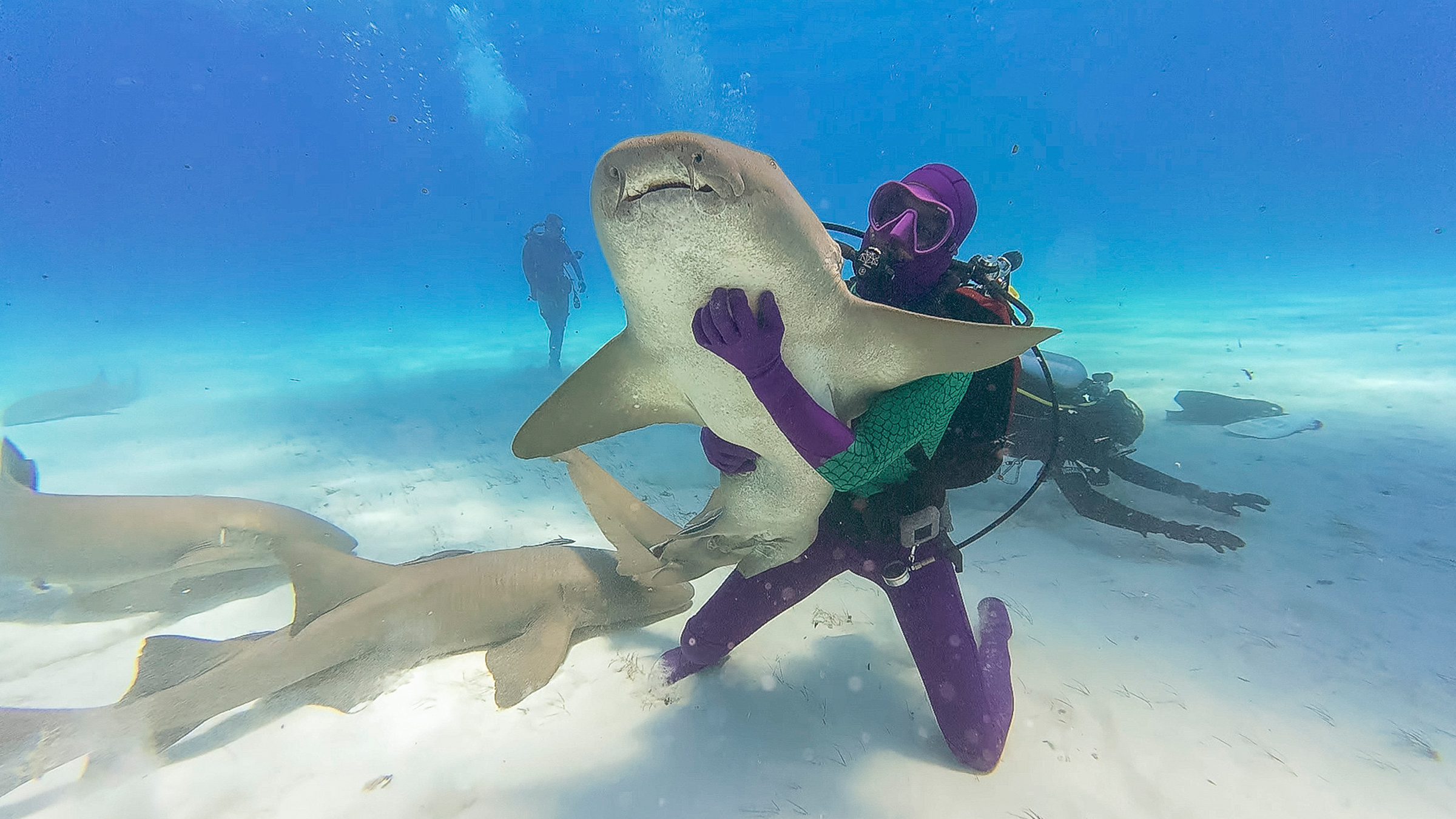 Full Shark Week Schedule Confirms Sequels to Fan-Favorite Discovery ...