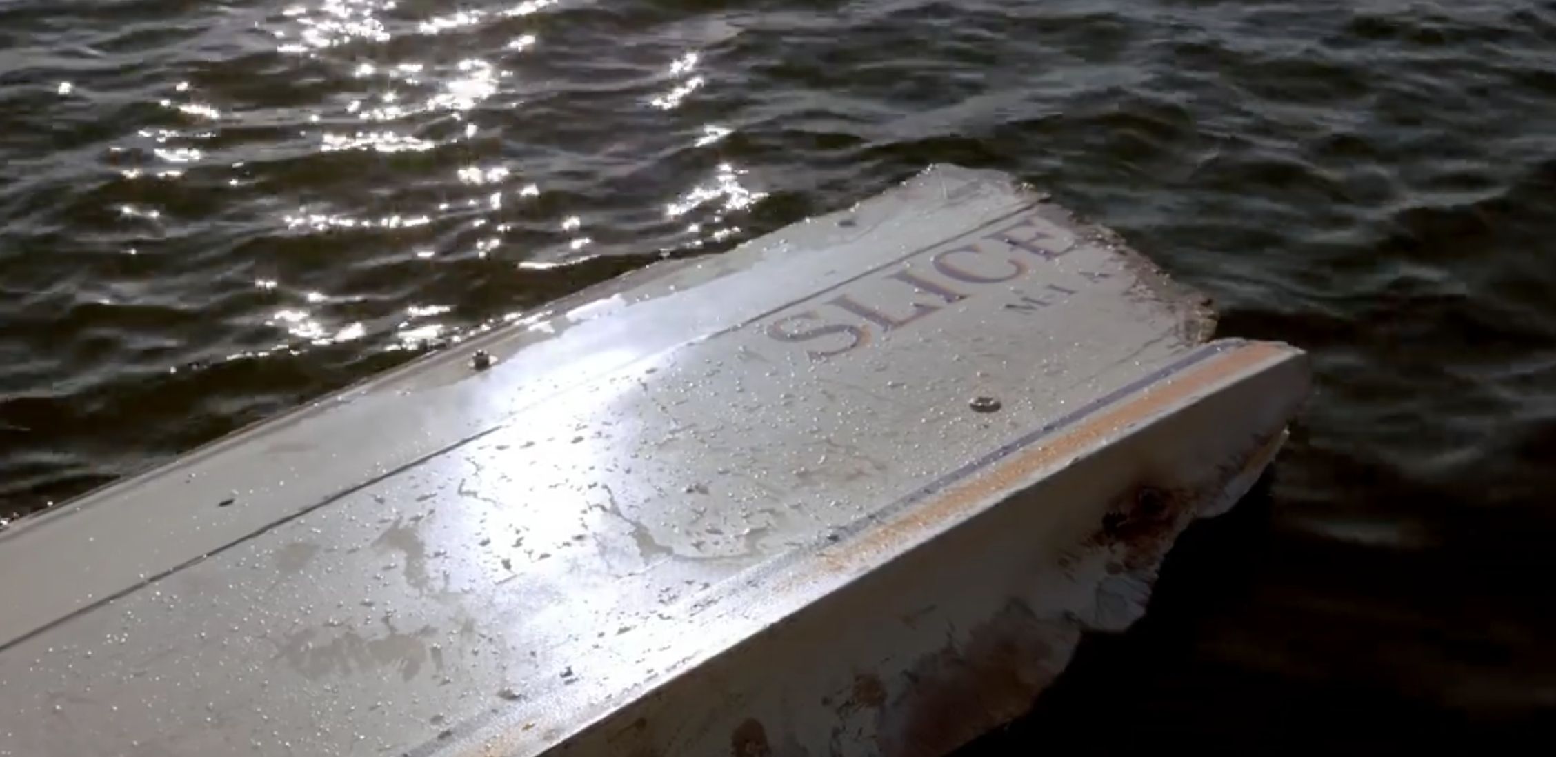 How Did Dexter Survive the Hurricane in the Original Ending?
