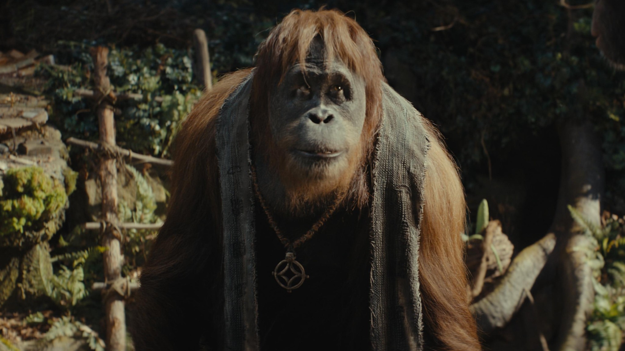 10 Best Planet of the Apes Characters (And Three Are Human) - ComicBook.com