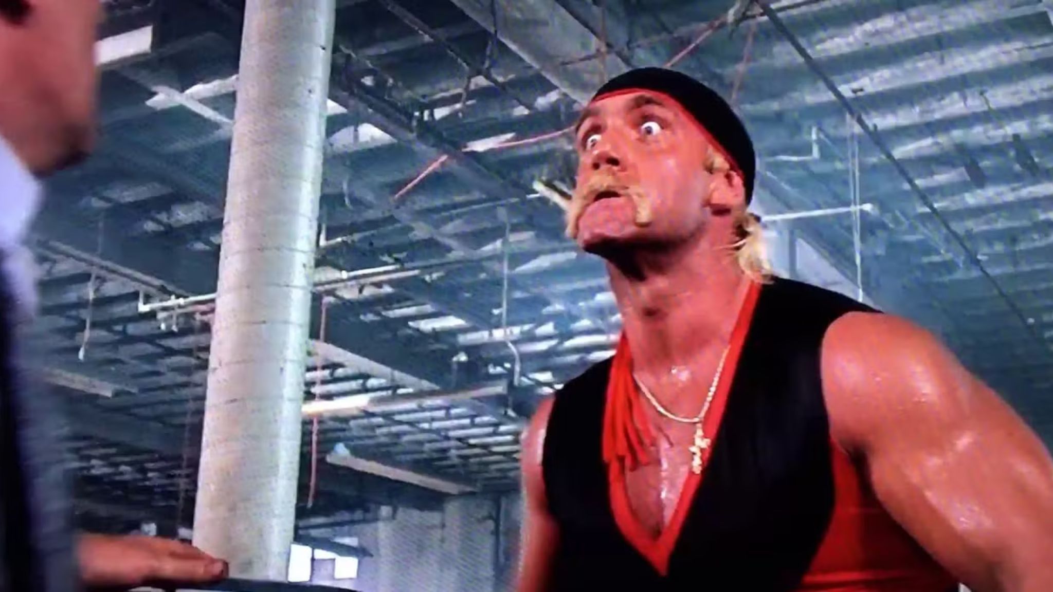Hulk Hogan's 7 Best Movie & TV Roles - ComicBook.com