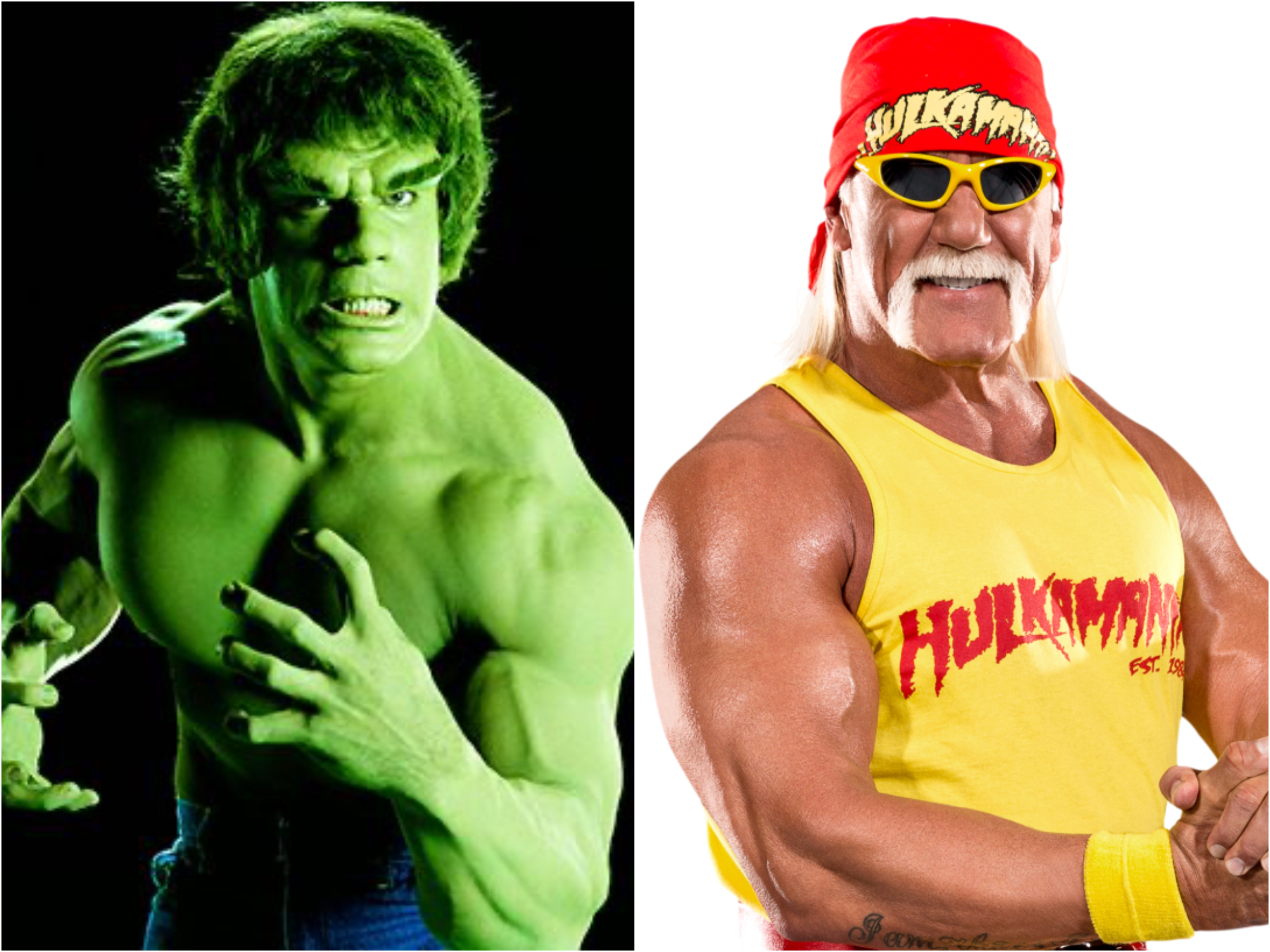 Remembering When Hulk Hogan Wrestled Marvel's Hulk for Name Rights ...