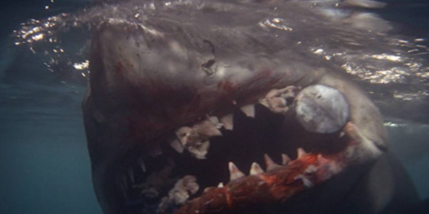 Why Spielberg Had to Push So Hard For Jaws' Explosive Ending (& Why He Was Right) - ComicBook.com