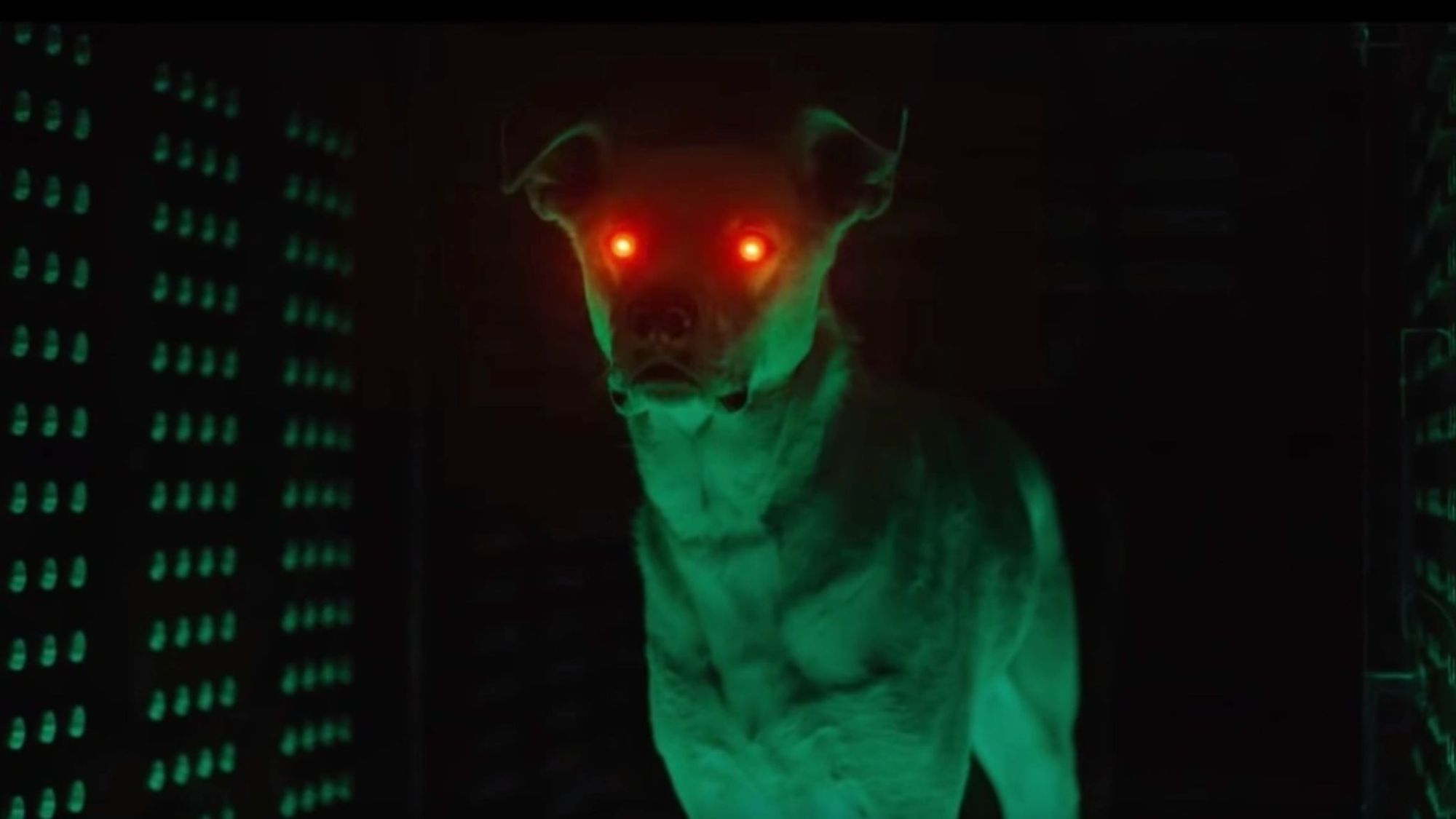 A Forgotten DC TV Show Features the Strangest Version of Krypto