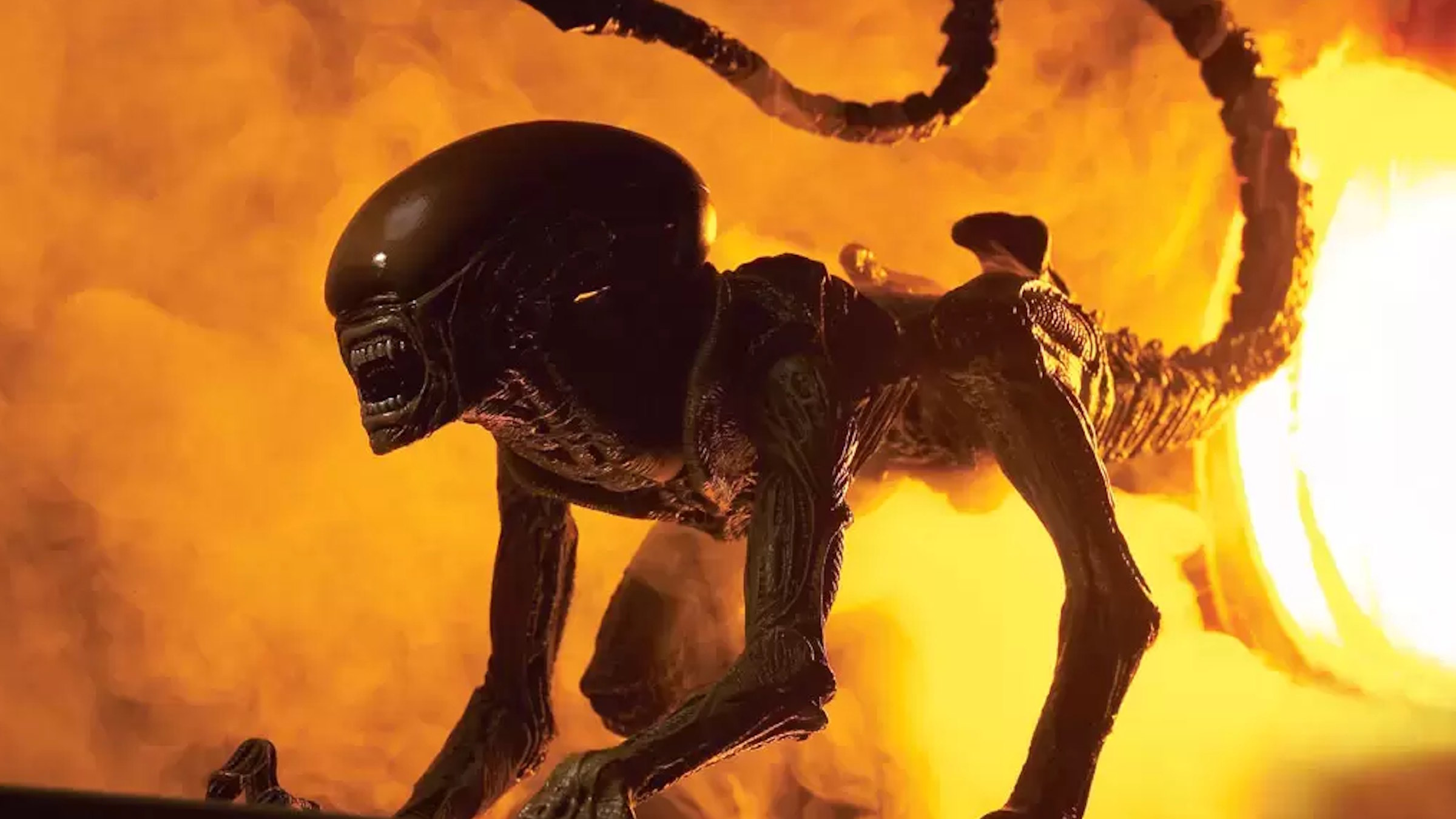 All 11 Types of Xenomorph in the Alien Movies, Ranked by Power ...