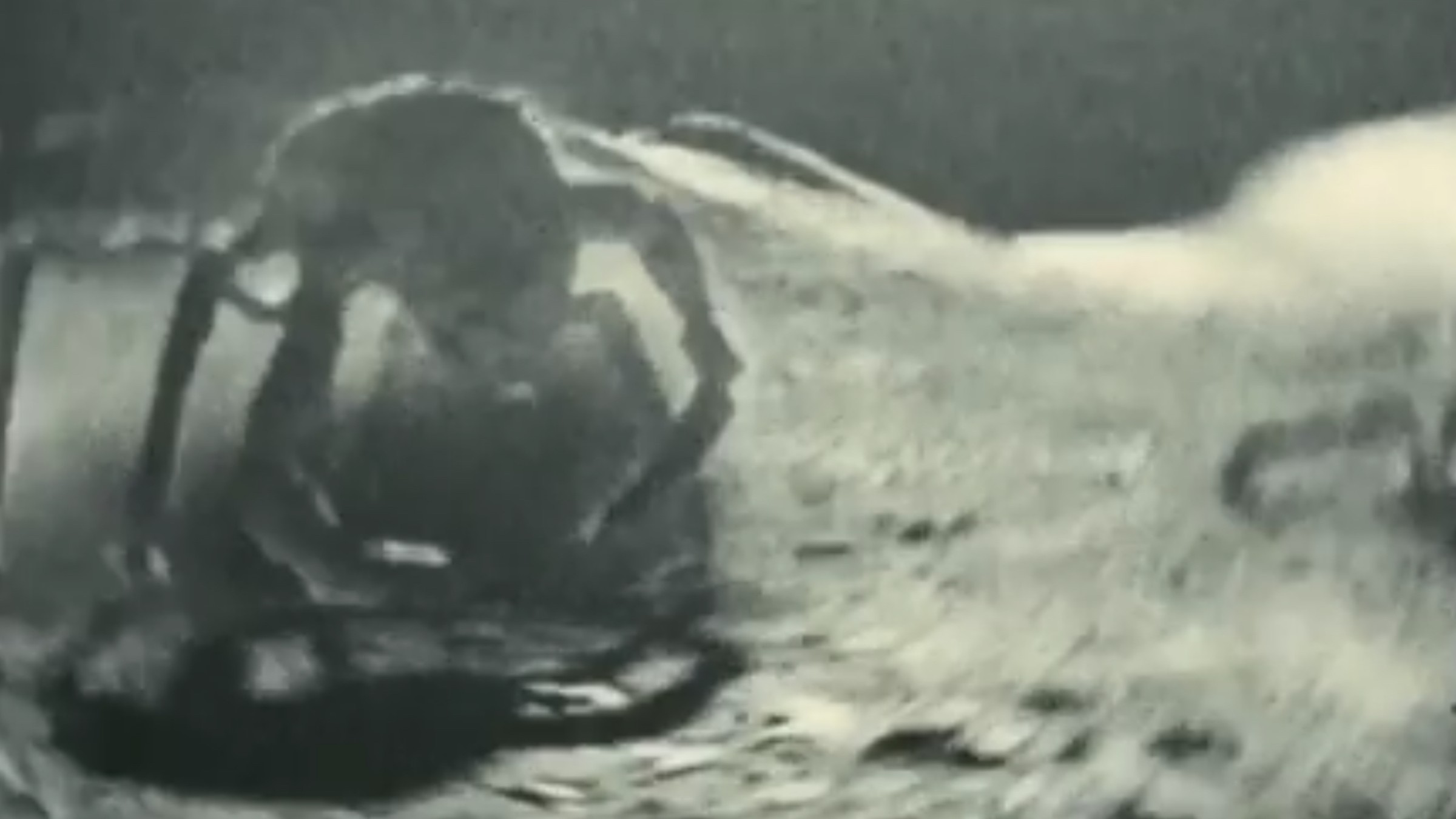 7 Underrated Found Footage Horror Movies That Deserve to Become Cult ...