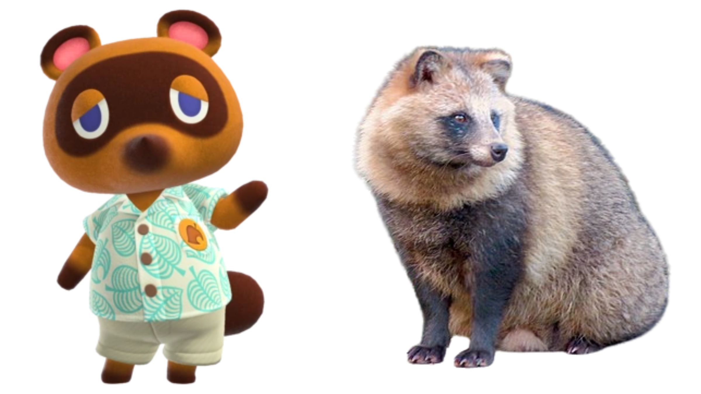 3 Things Even Animal Crossing Fans Didn’t Know About Tom Nook