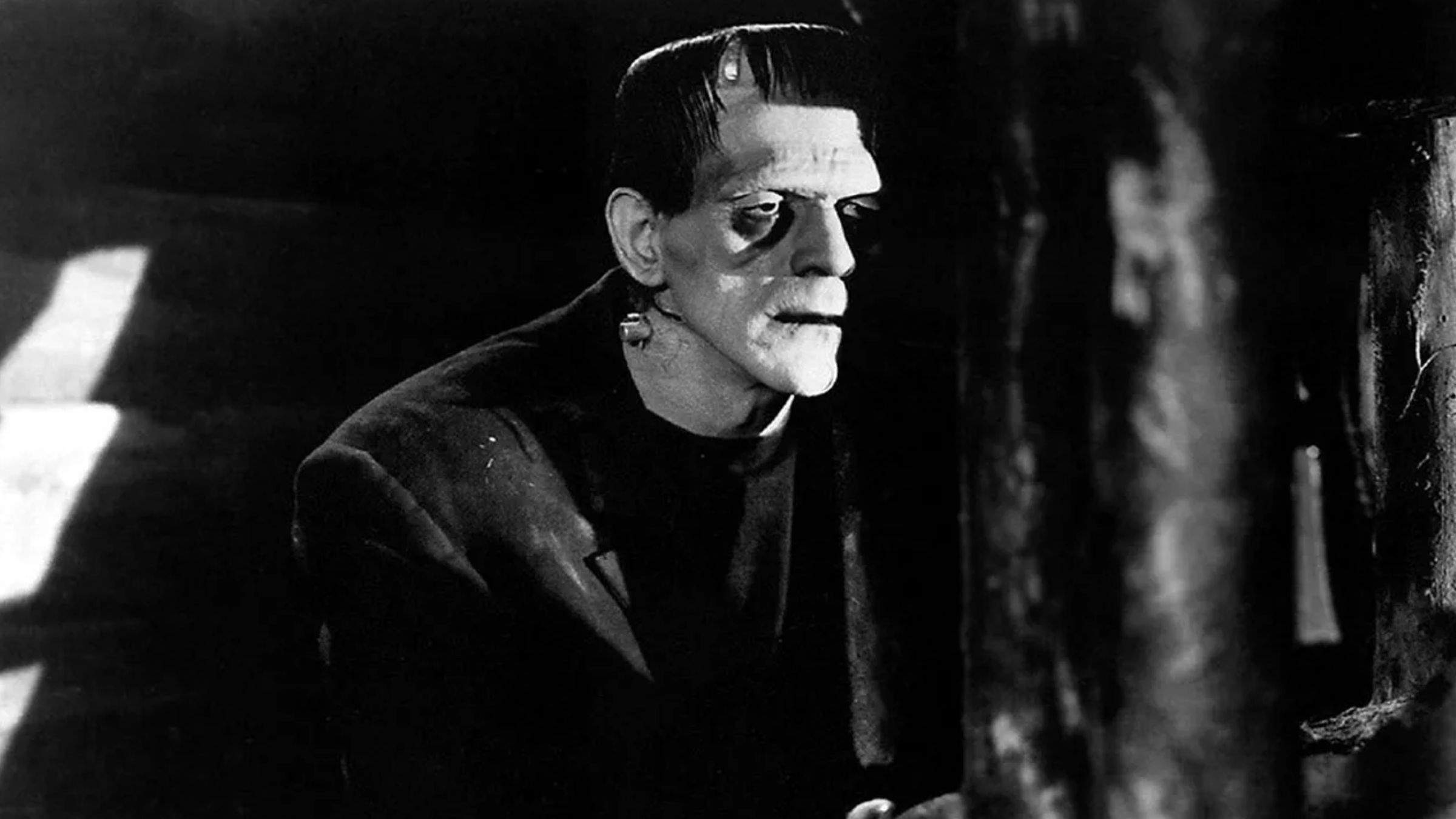 5 Movies to Watch if You're Excited for Del Toro's Frankenstein ...