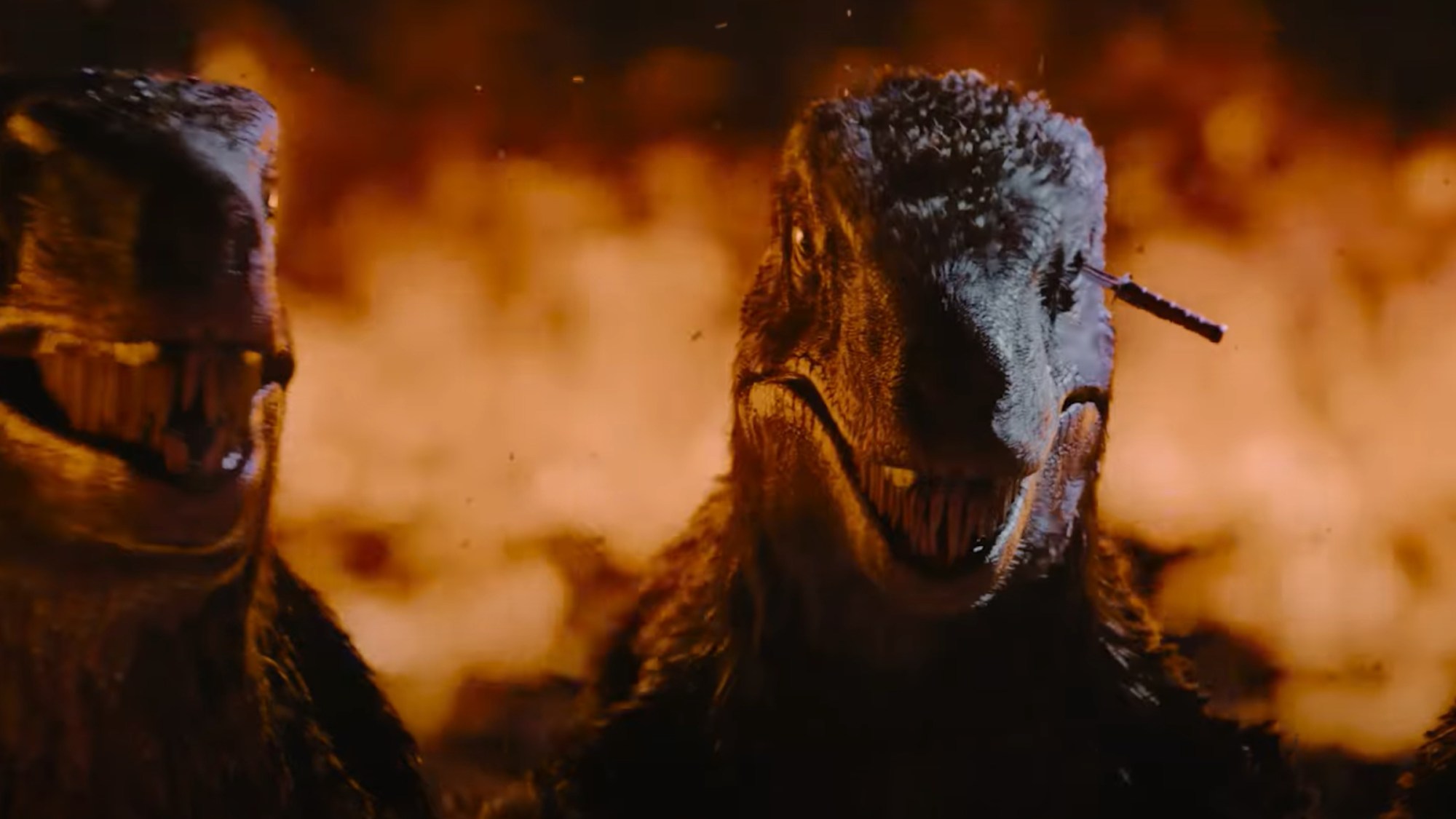New 2025 Dinosaur Movie Beats Six Jurassic Park & World Movies on ...