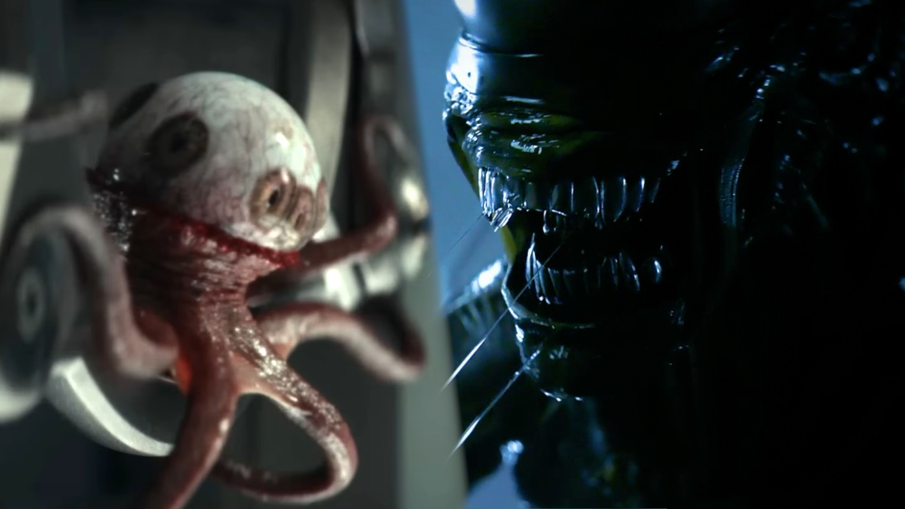 The Xenomorph Is Now Only the Second Coolest Alien in the Franchise ...