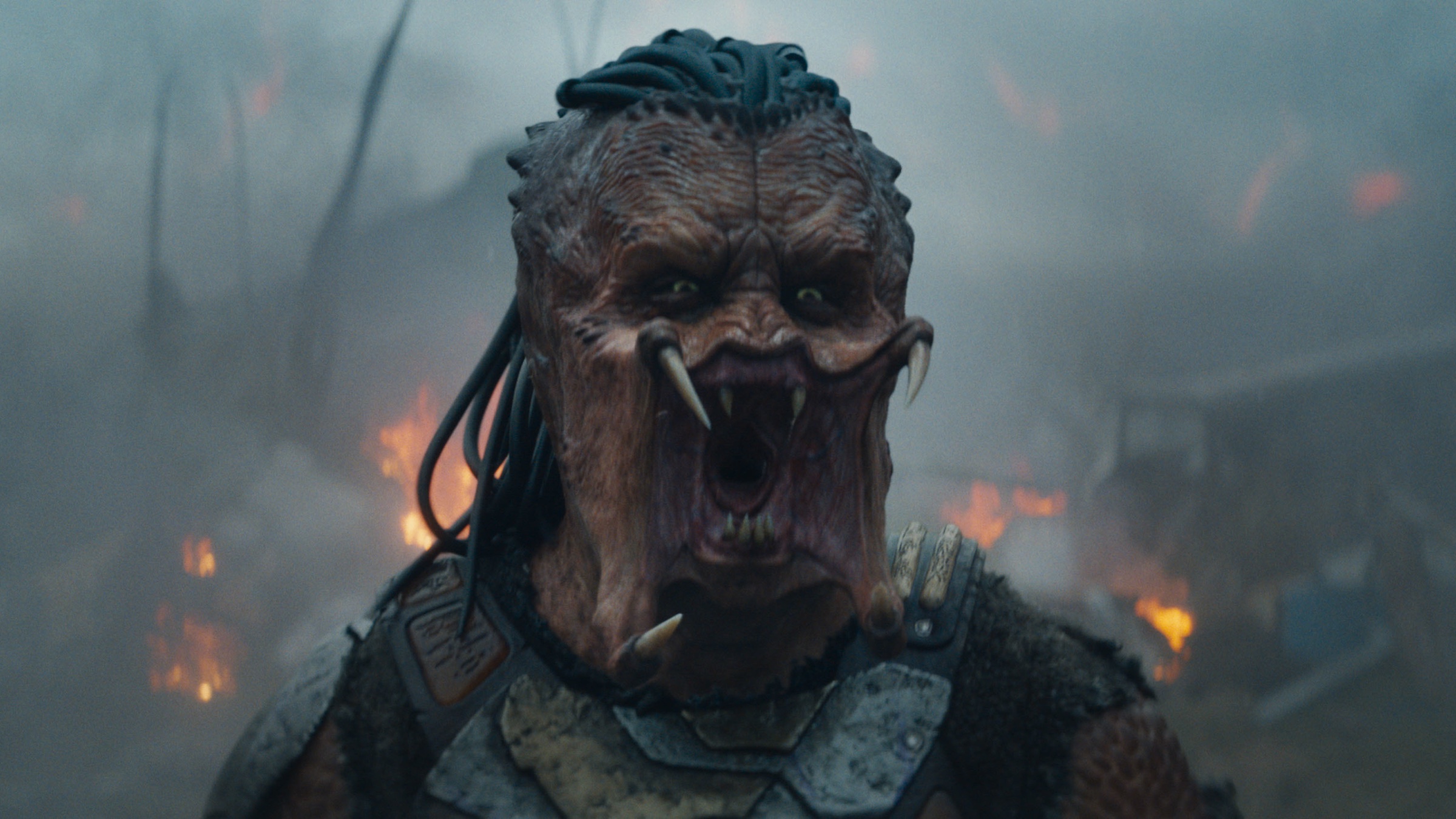 Predator: Badlands Breaks Box Office Record in Opening Weekend ...
