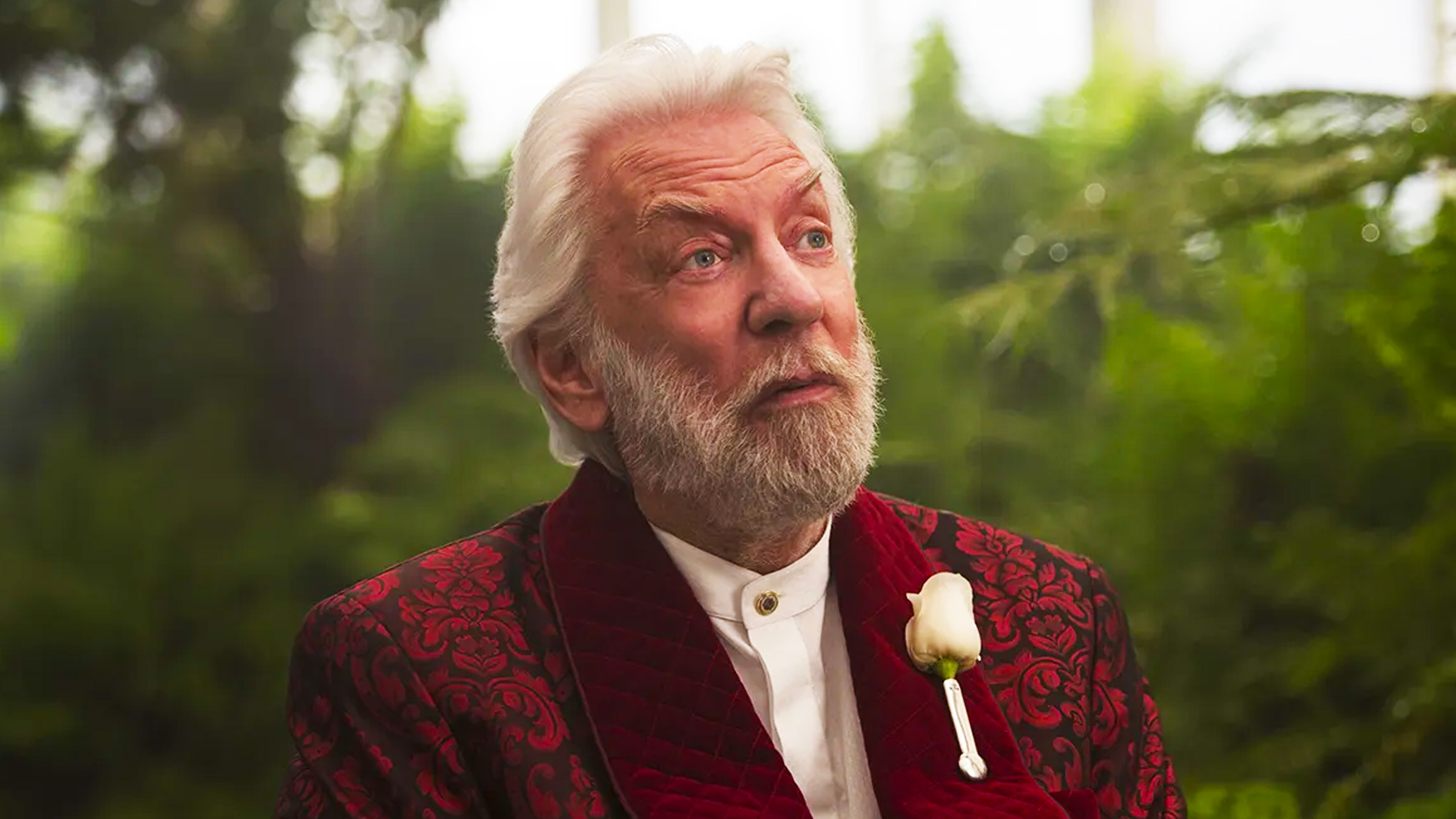 3 Shocking Hunger Games Theories That Actually Make Sense & Improve The ...