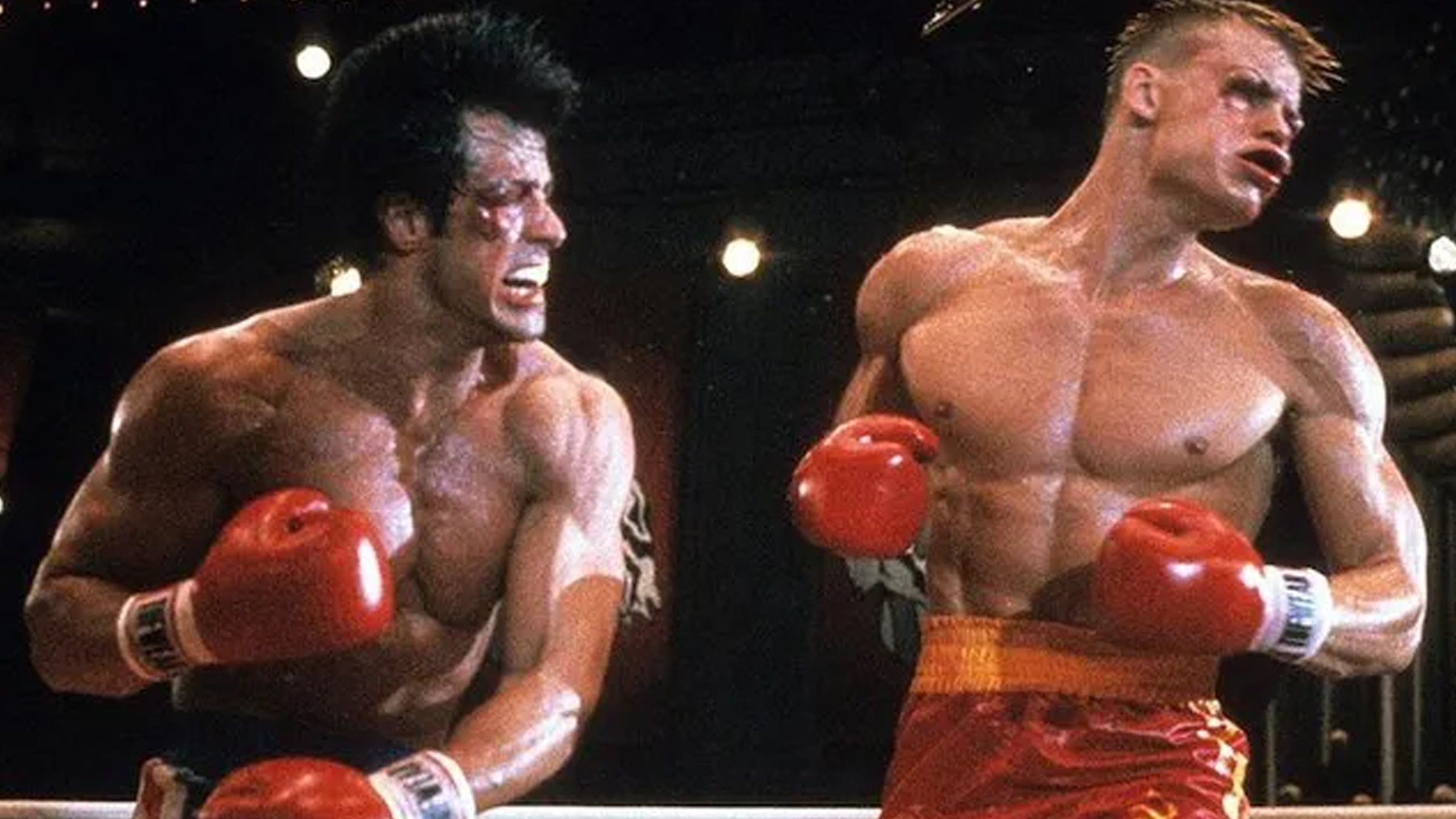New Rocky Movie Is Much Better Than Sylvester Stallone Returning Again ...