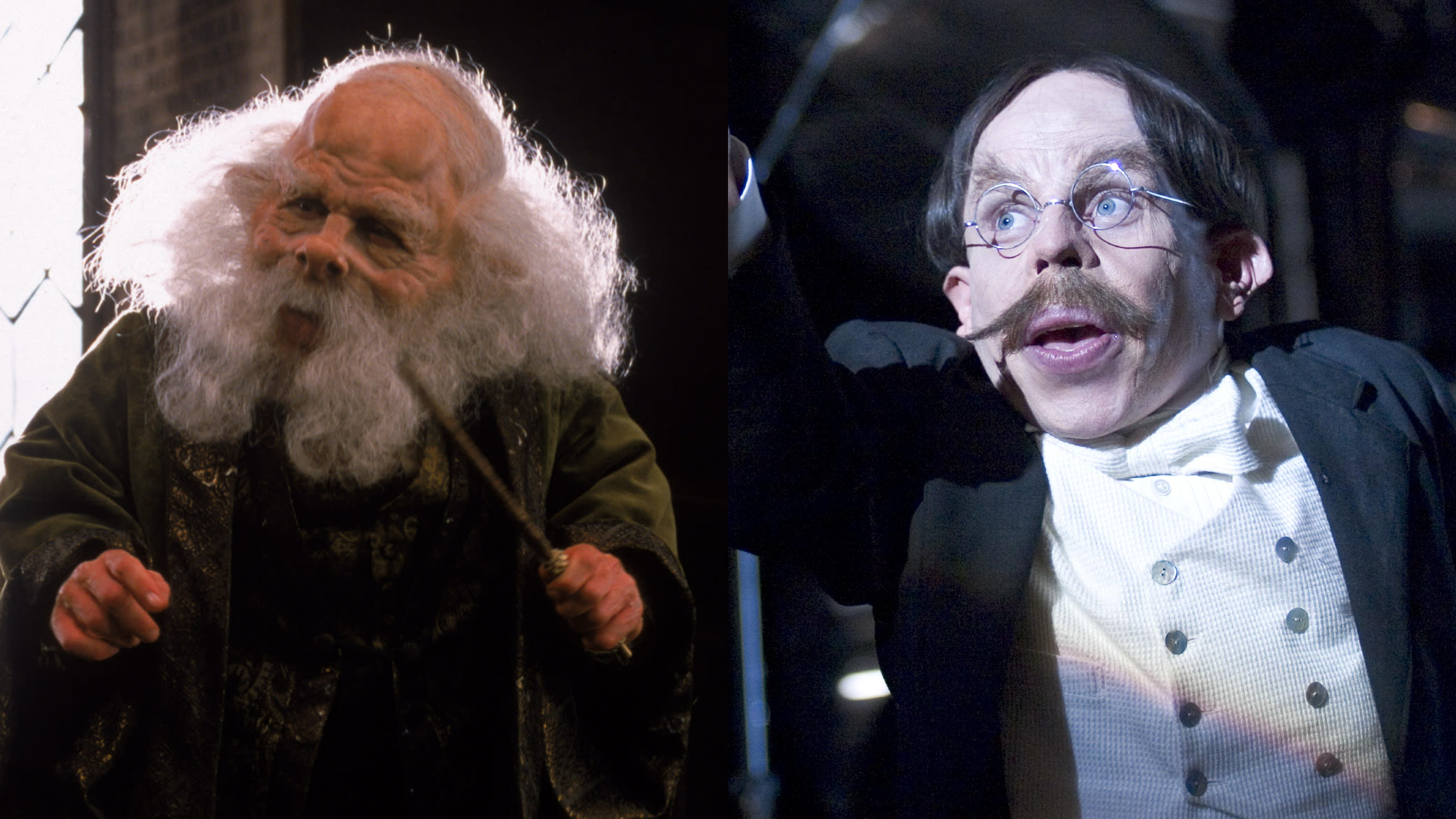 Original Harry Potter Actor Returns in the Remake (To Play 3rd Version ...