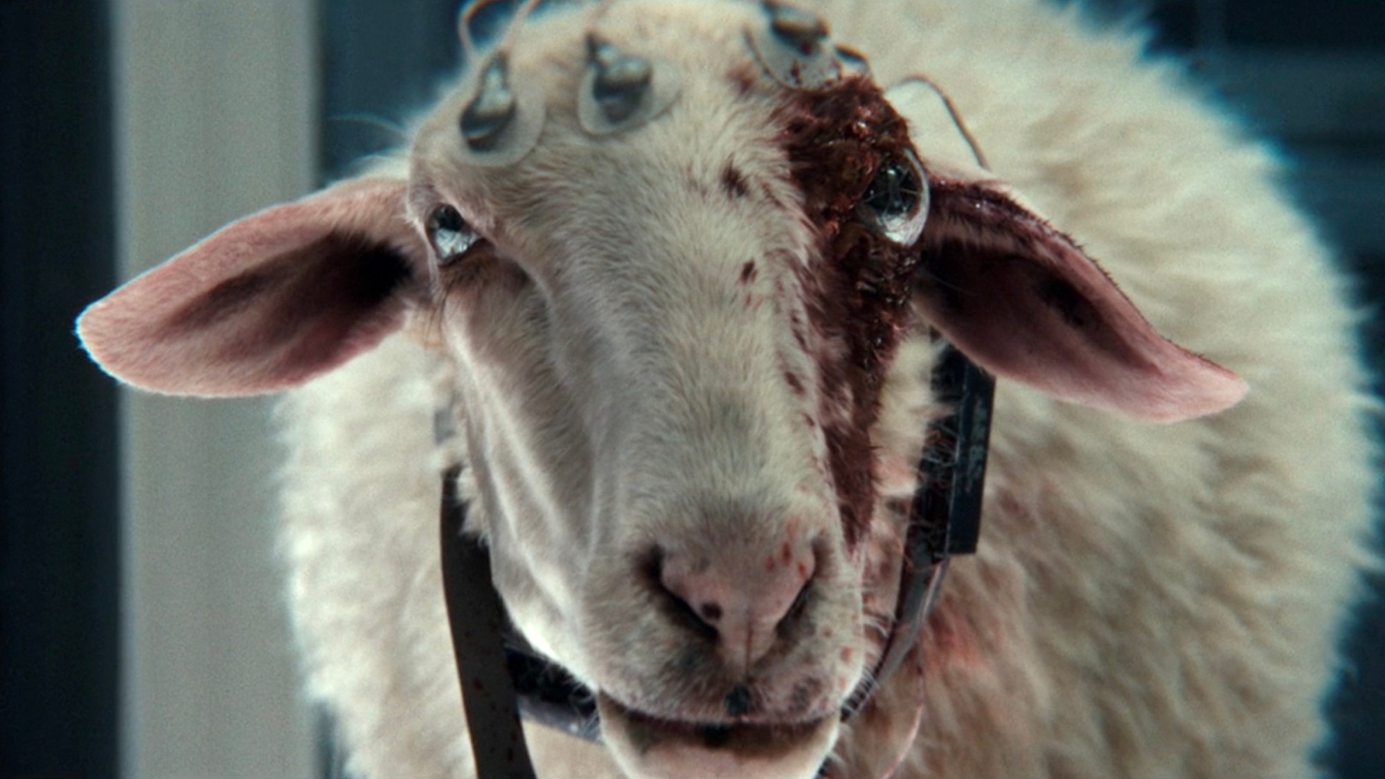 Alien: Earth's Eye Monster Is Much More Dangerous Than the Xenomorphs ...