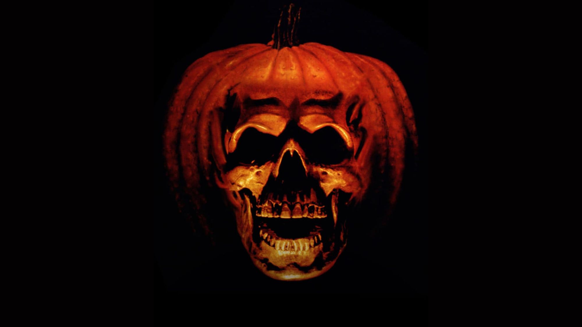 44 Years On, I Still Can't Believe This Horror Sequel Isn't The Cult ...