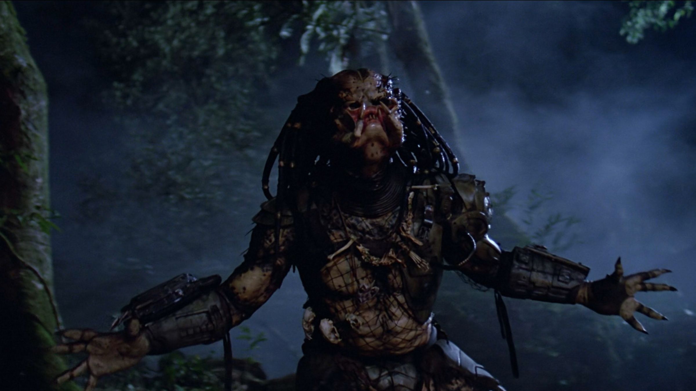 Good News: Arnold Schwarzenegger Has Discussed a Real Predator Return ...