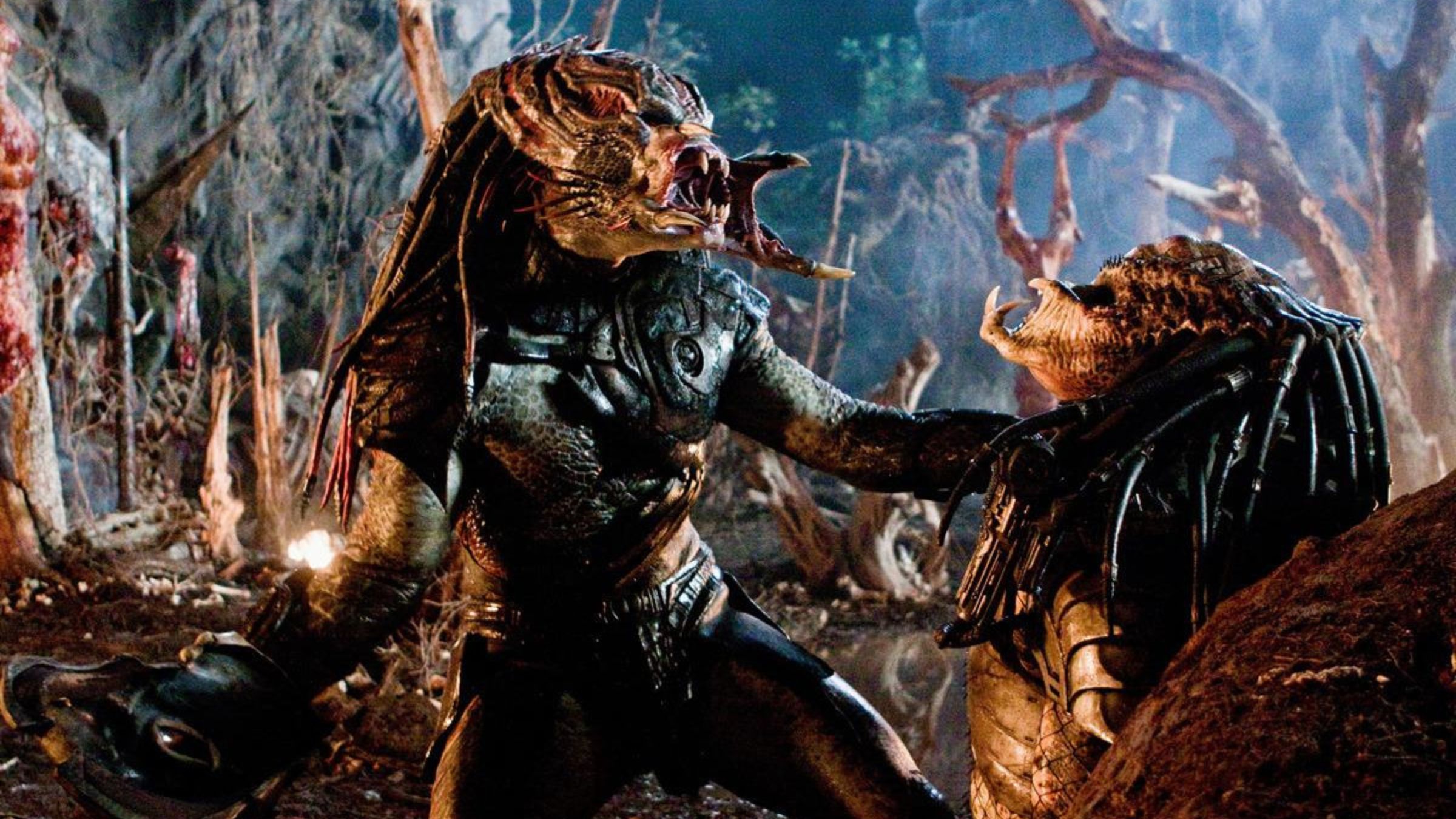 38 Years Later, a Major Detail About the Original Predator Has Been ...