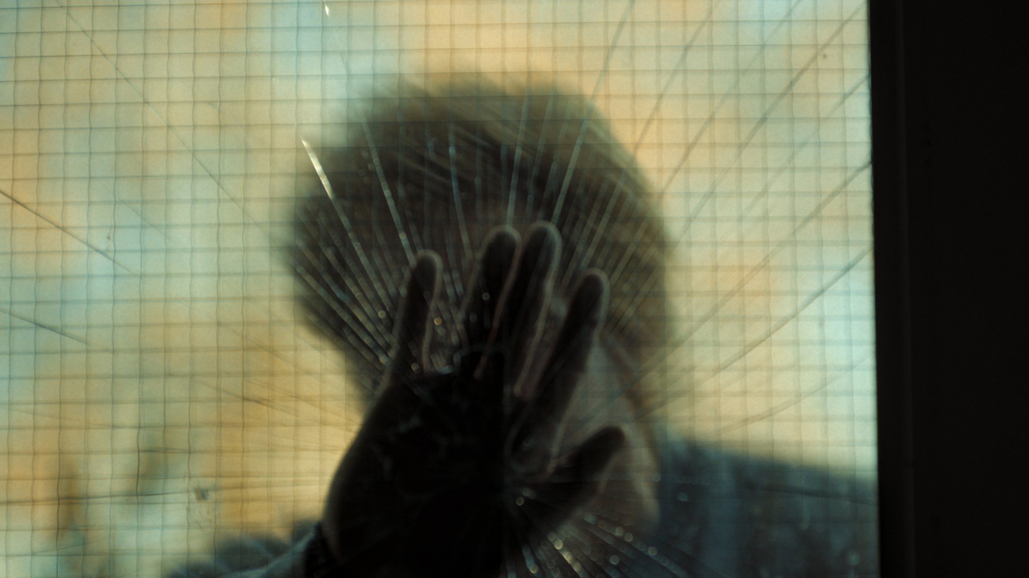 Netflix Users Crown New Real-Life Horror Show "Terrifying" & "Absolute ...