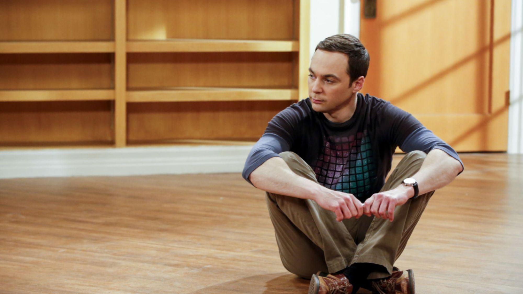 18 Years Ago Today, Big Bang Theory Set Up the Devastating Storyline ...