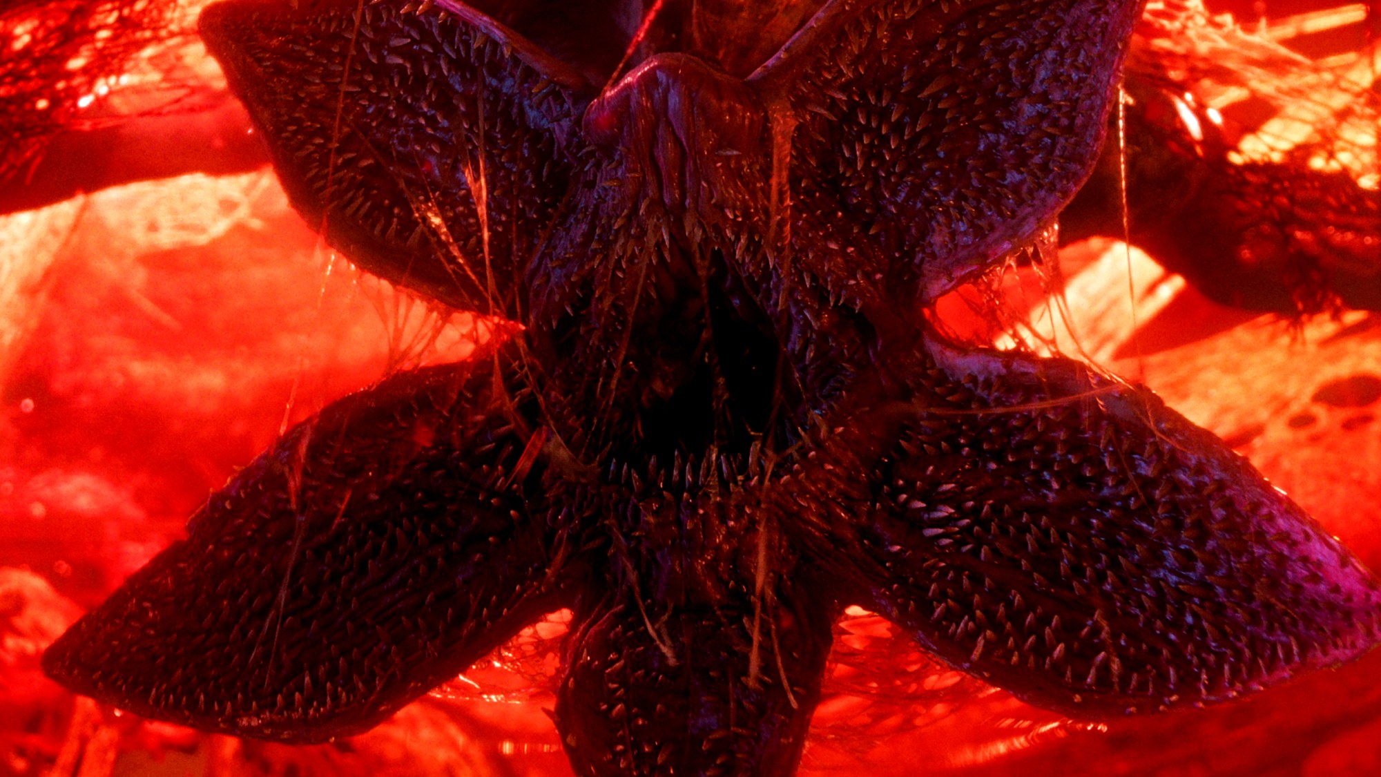 Stranger Things Fans Celebrate the Show’s Real Hero After Epic Season 5 ...
