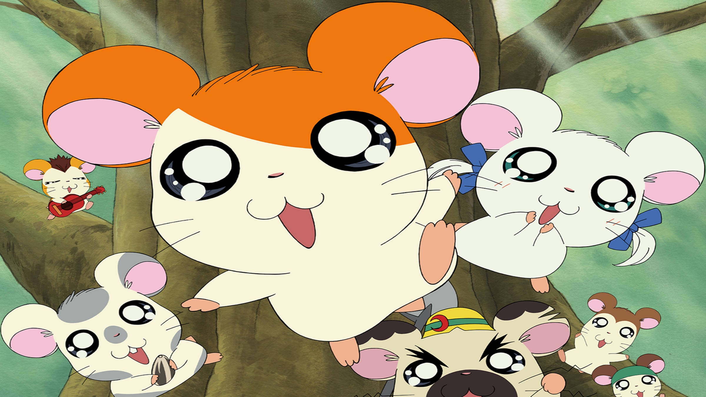 10 Best Toonami Anime That Made Everyone An Anime Fan - ComicBook.com