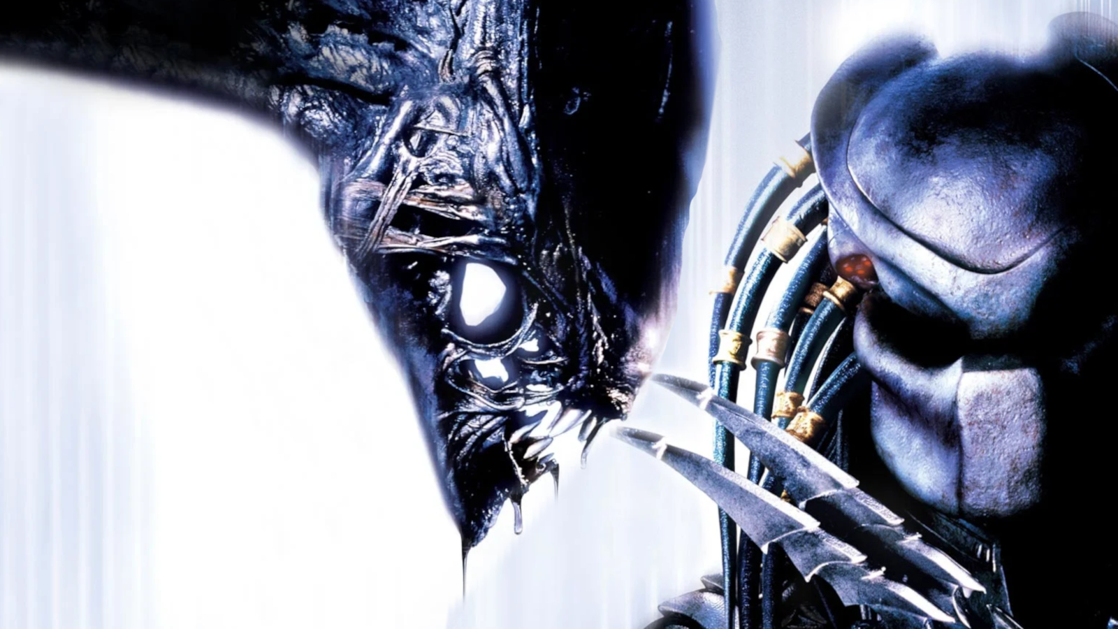 After 35 Years, Predator's Alien Connections Finally Matter - ComicBook.com
