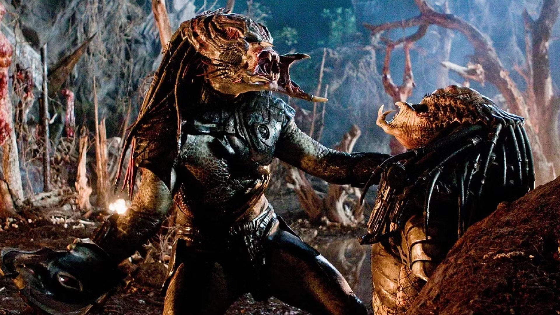 Predator: Badlands May Have Just Answered a 15 Year Old Franchise ...